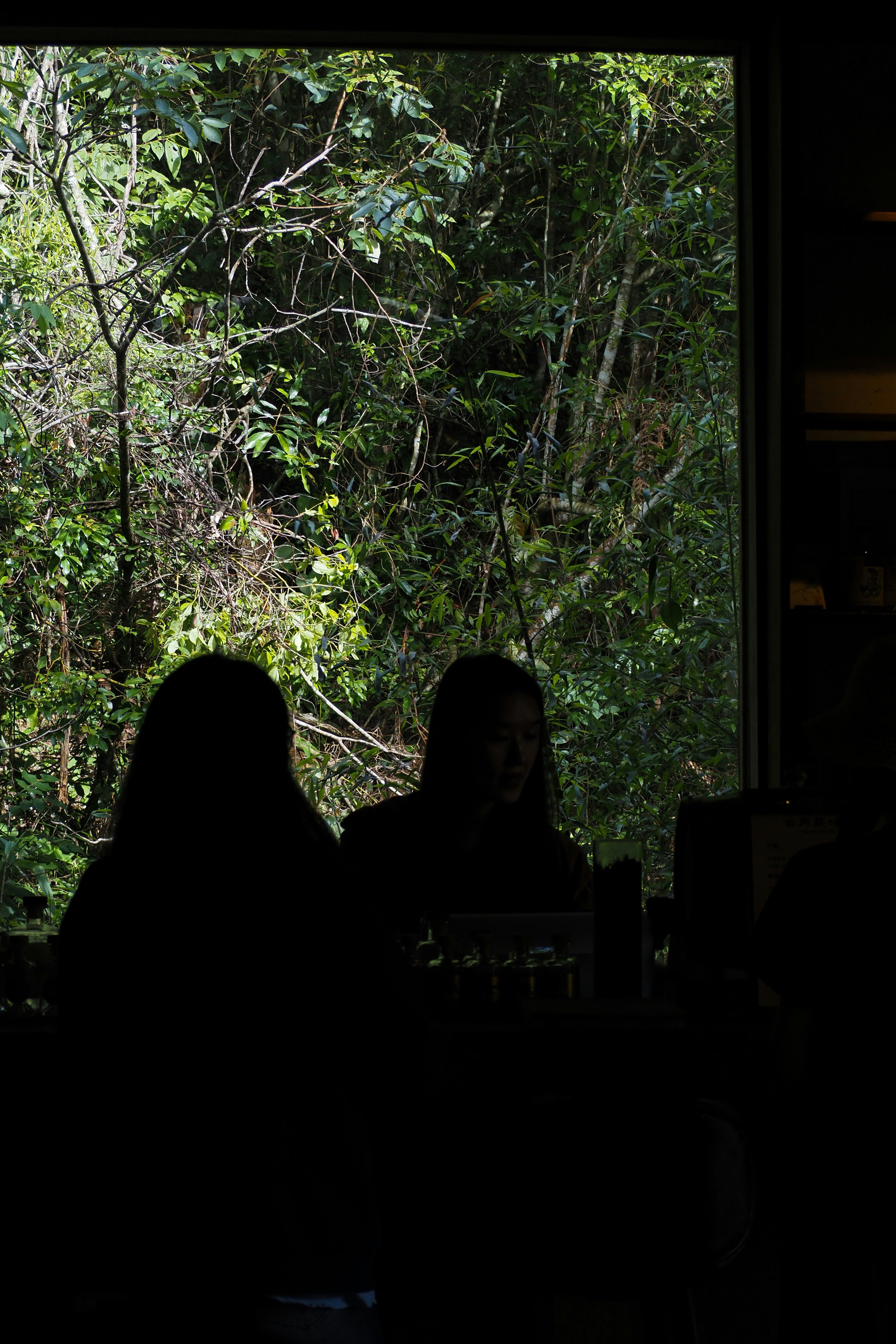 Silhouettes at the Window: People in Shadow Against a Lush Green Backdrop