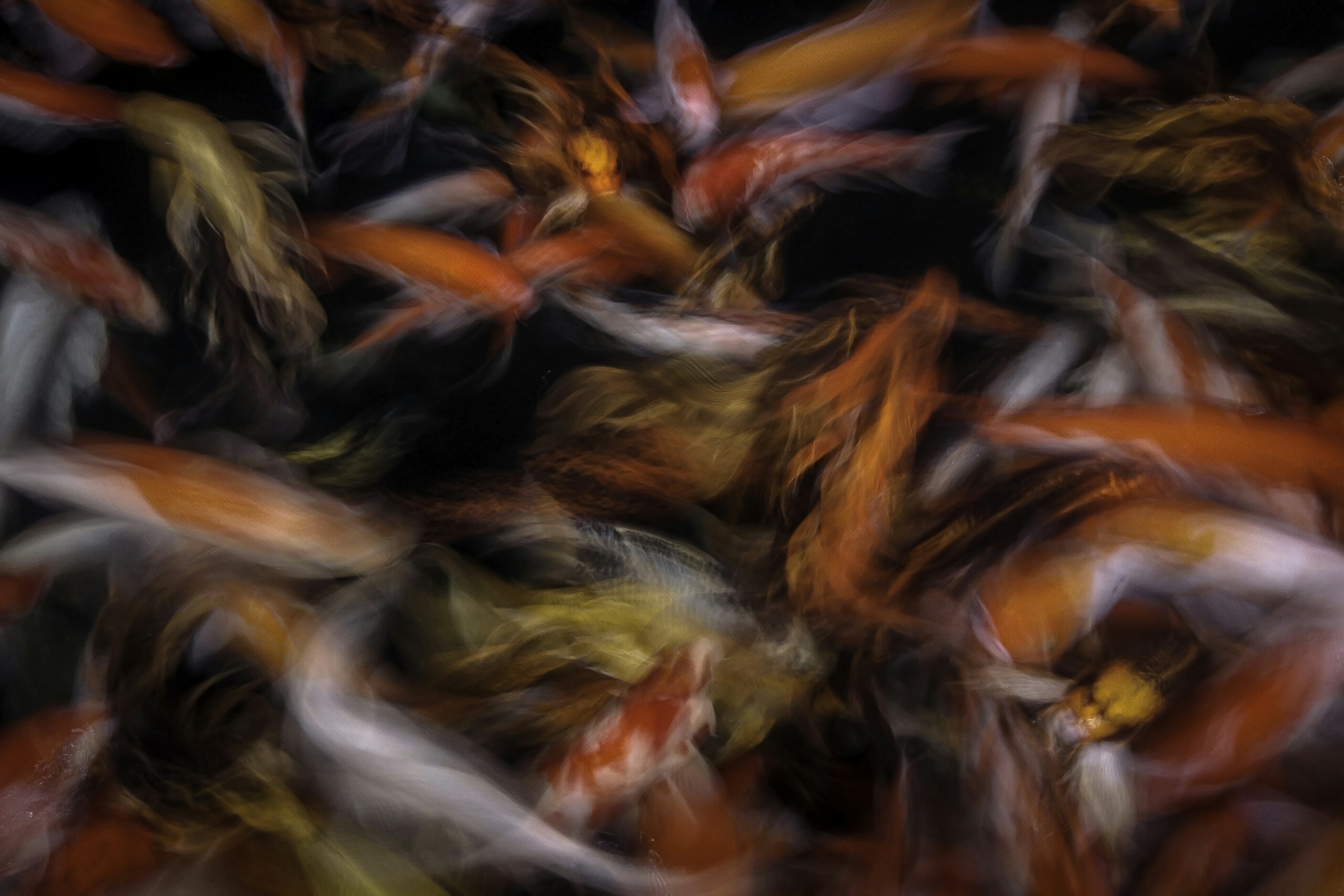 Nguyen Quan (@m_quan) | Communauté photos Unsplash