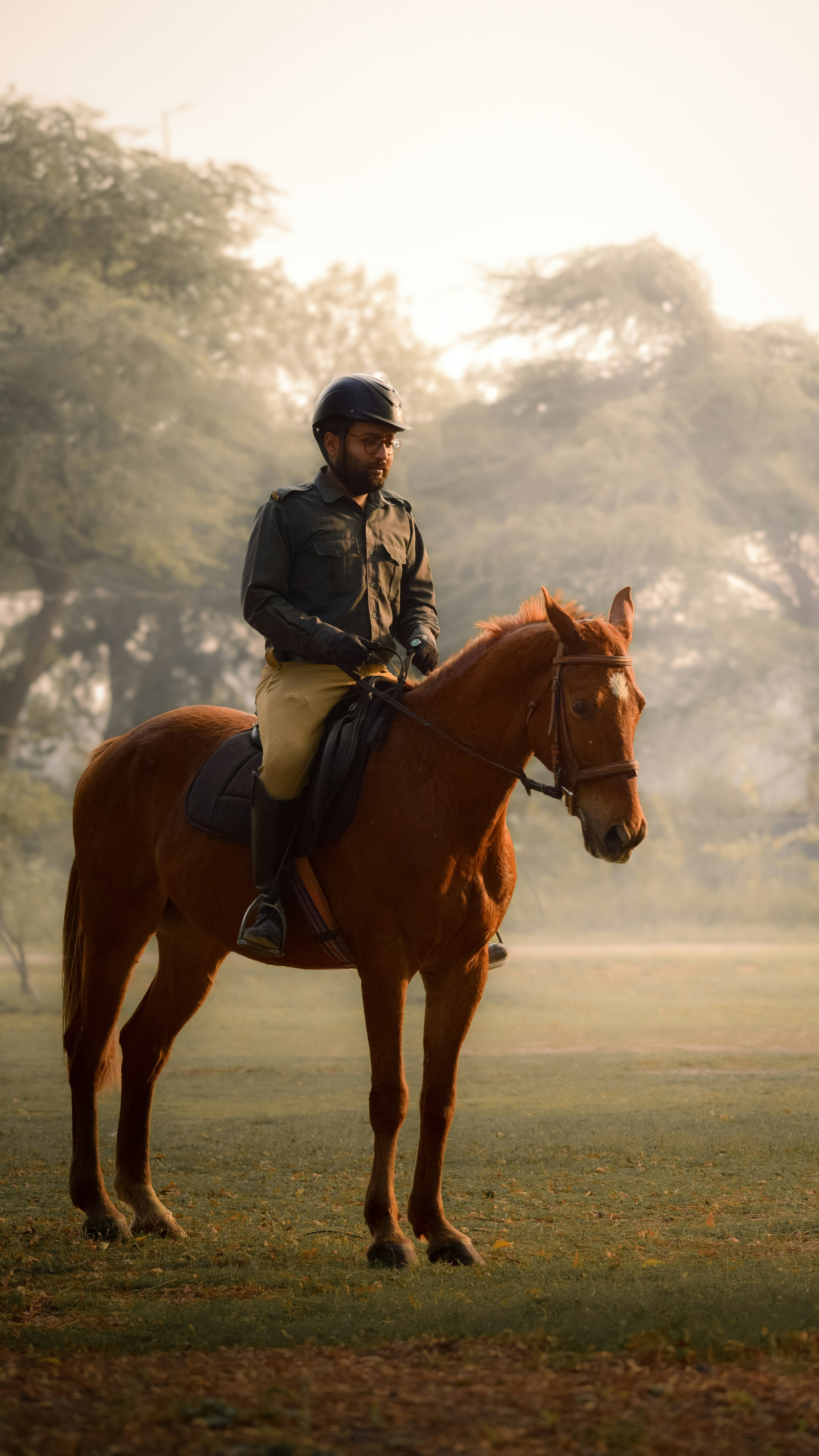 Rider in the Soft-Hued Park: A Quiet Moment on Horseback