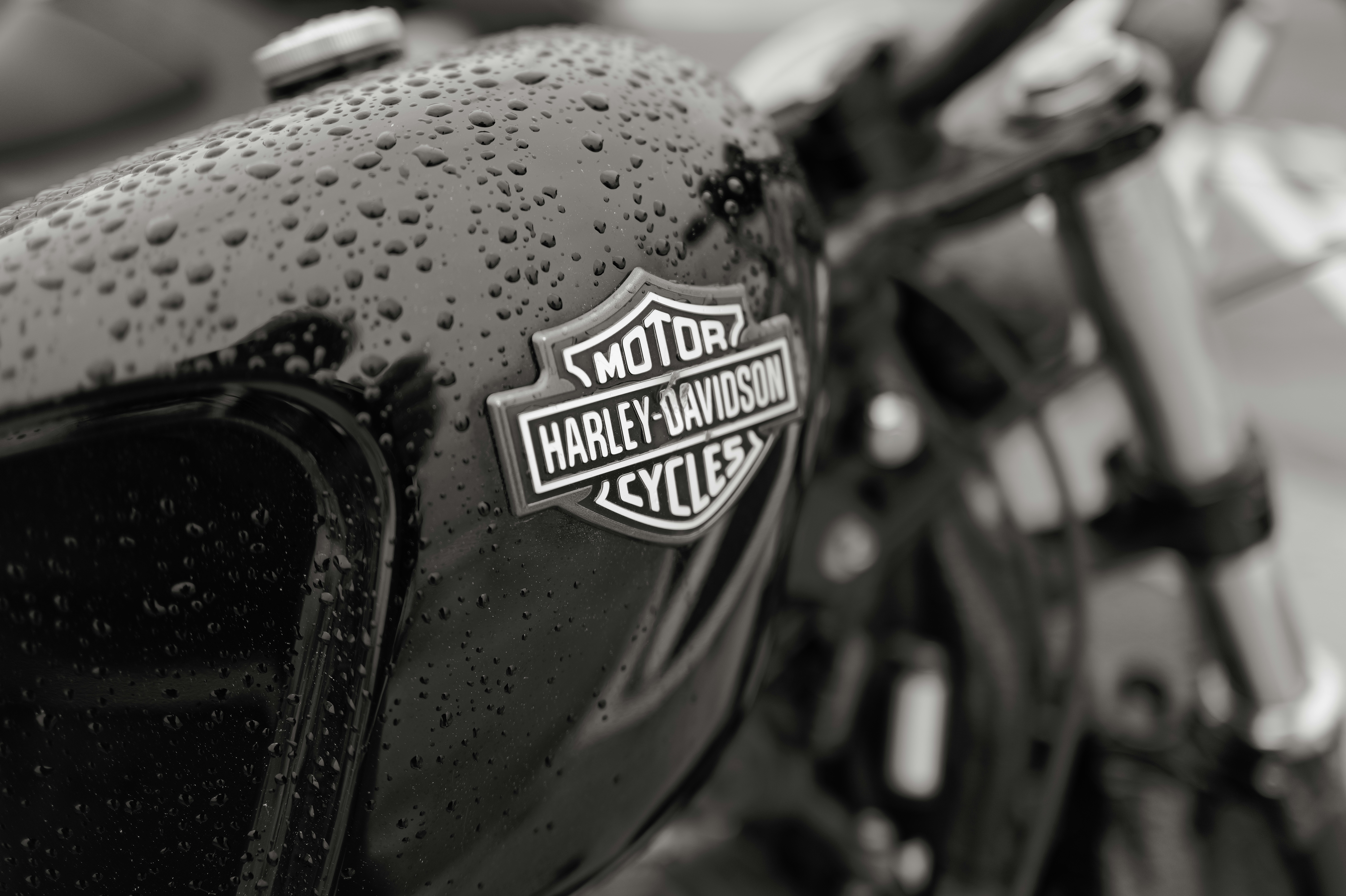 Emblem in Focus: A Glinting Harley Badge on Rain-Dappled Chrome