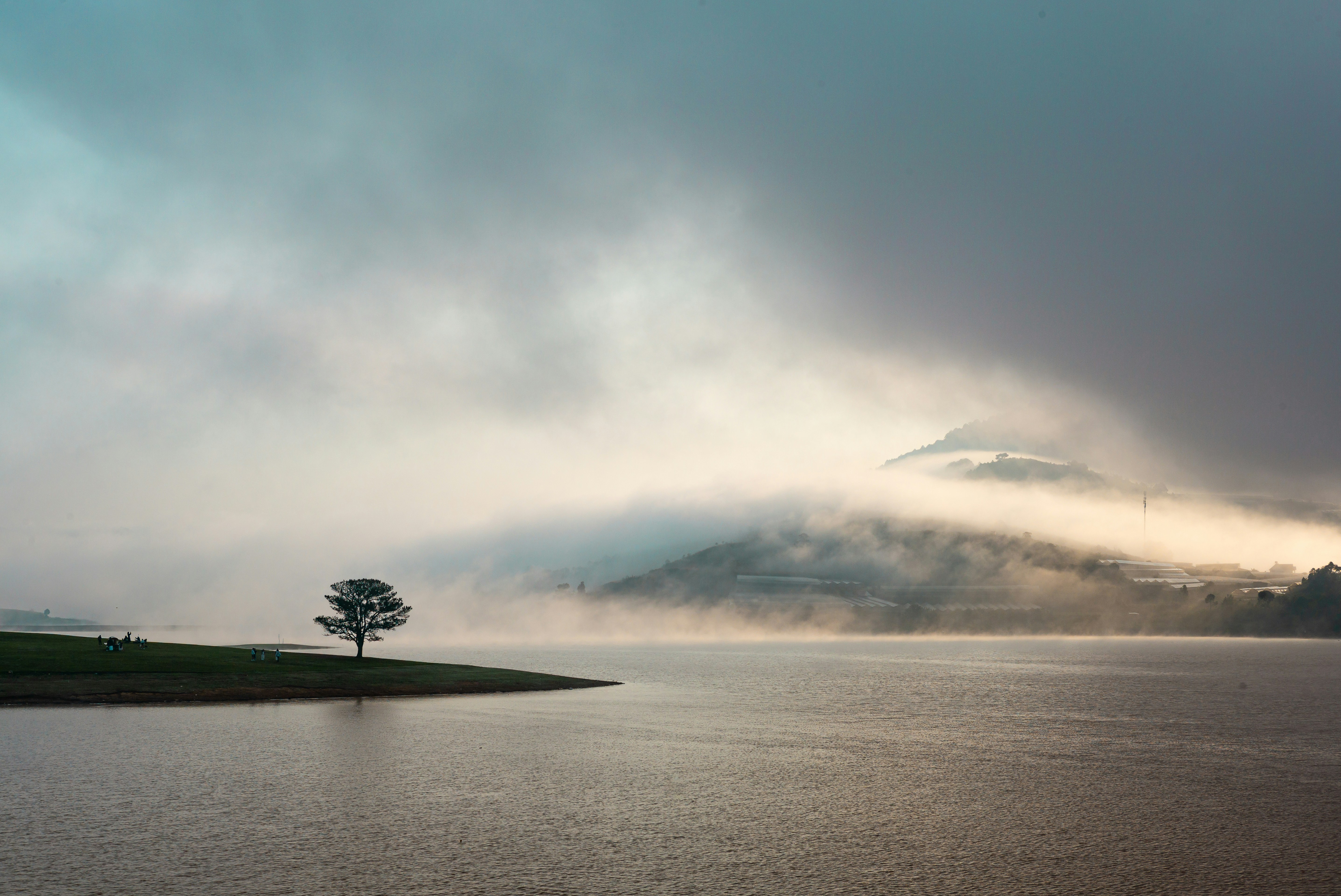  lone tree at the edge of misty lake