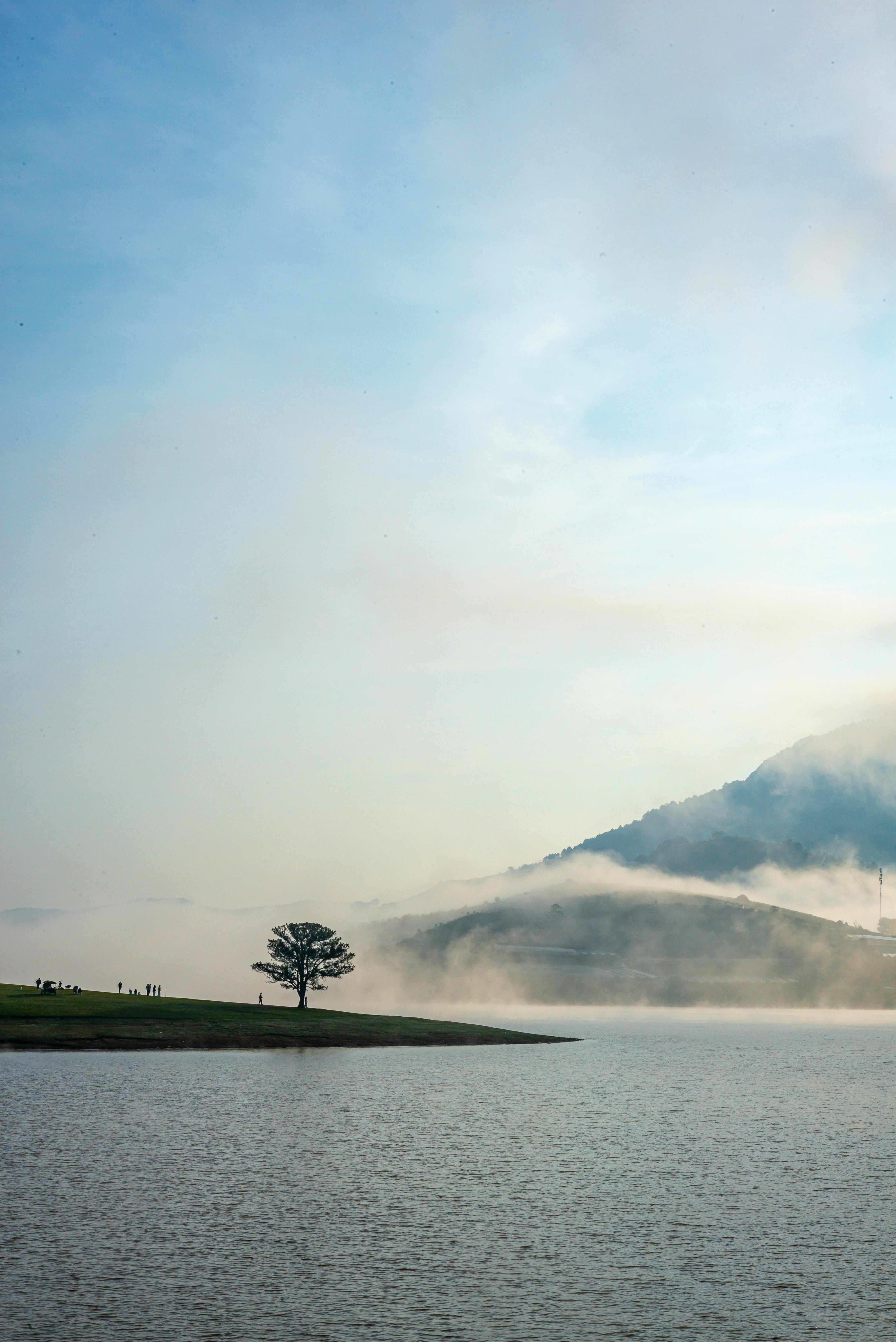 Lone Tree at the Edge of Silence over Mist-kissed Waters