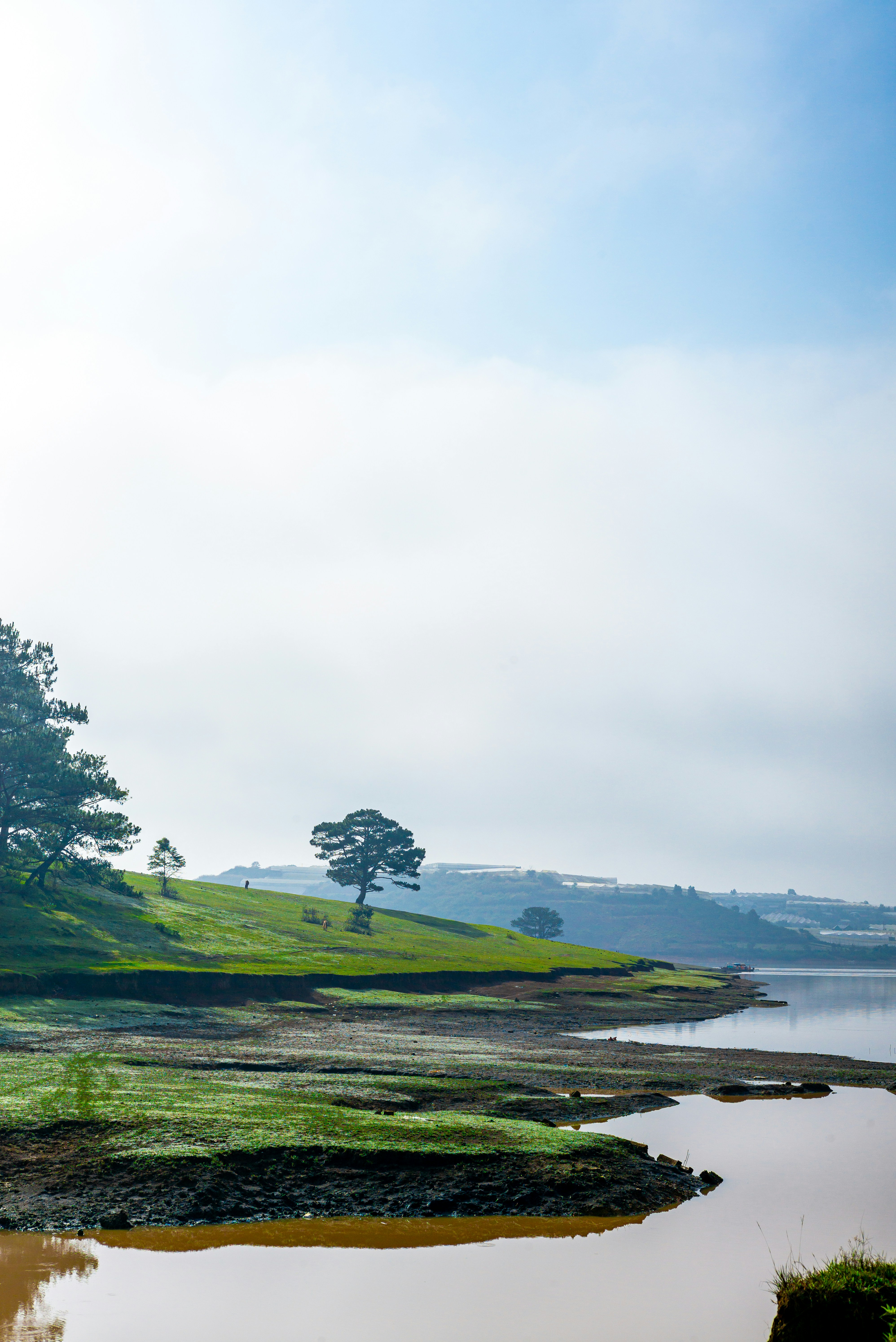 Quiet shoreline of emerald hills under a misty blue sky