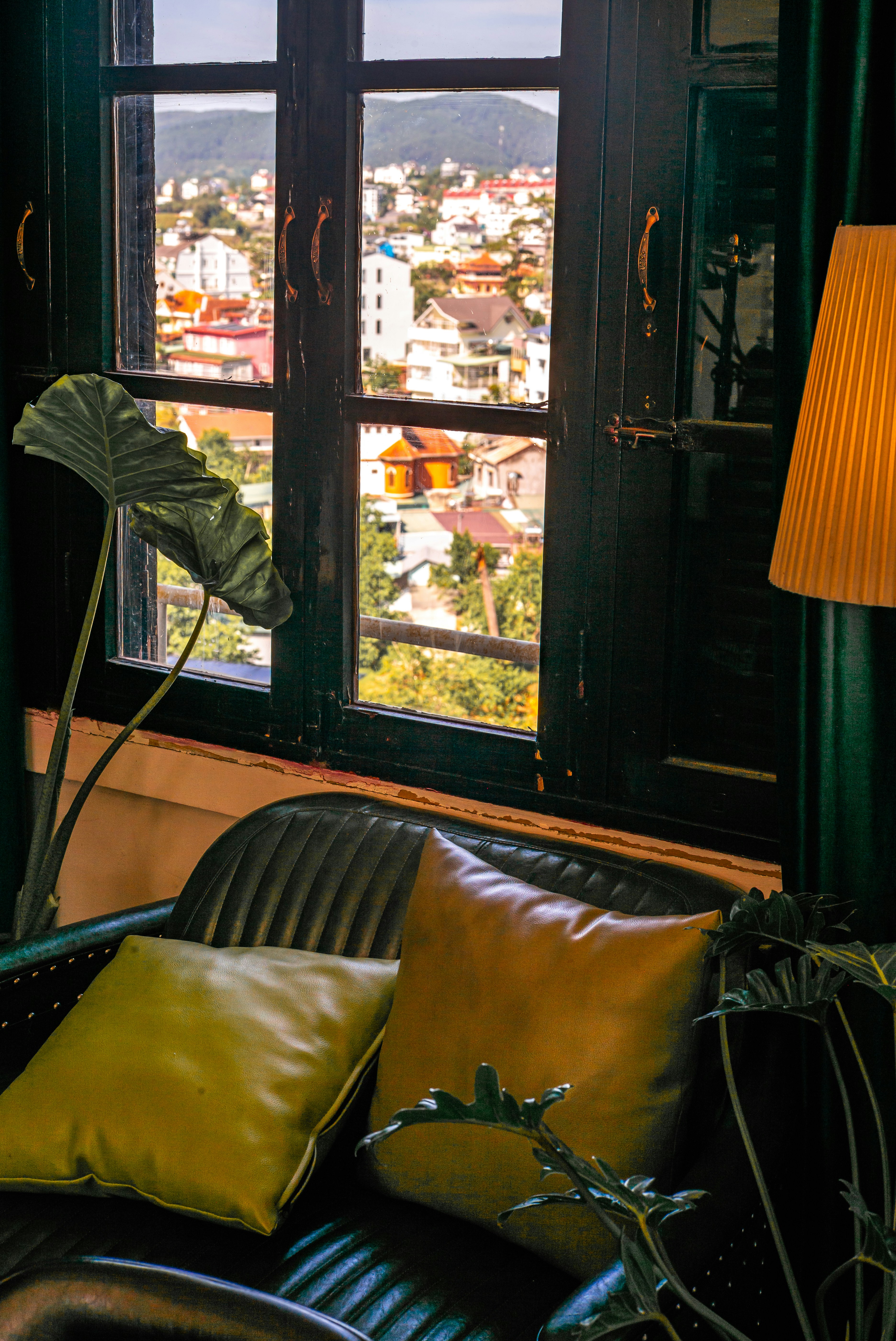 Sunlit City Through a Velvet-Winged Window
