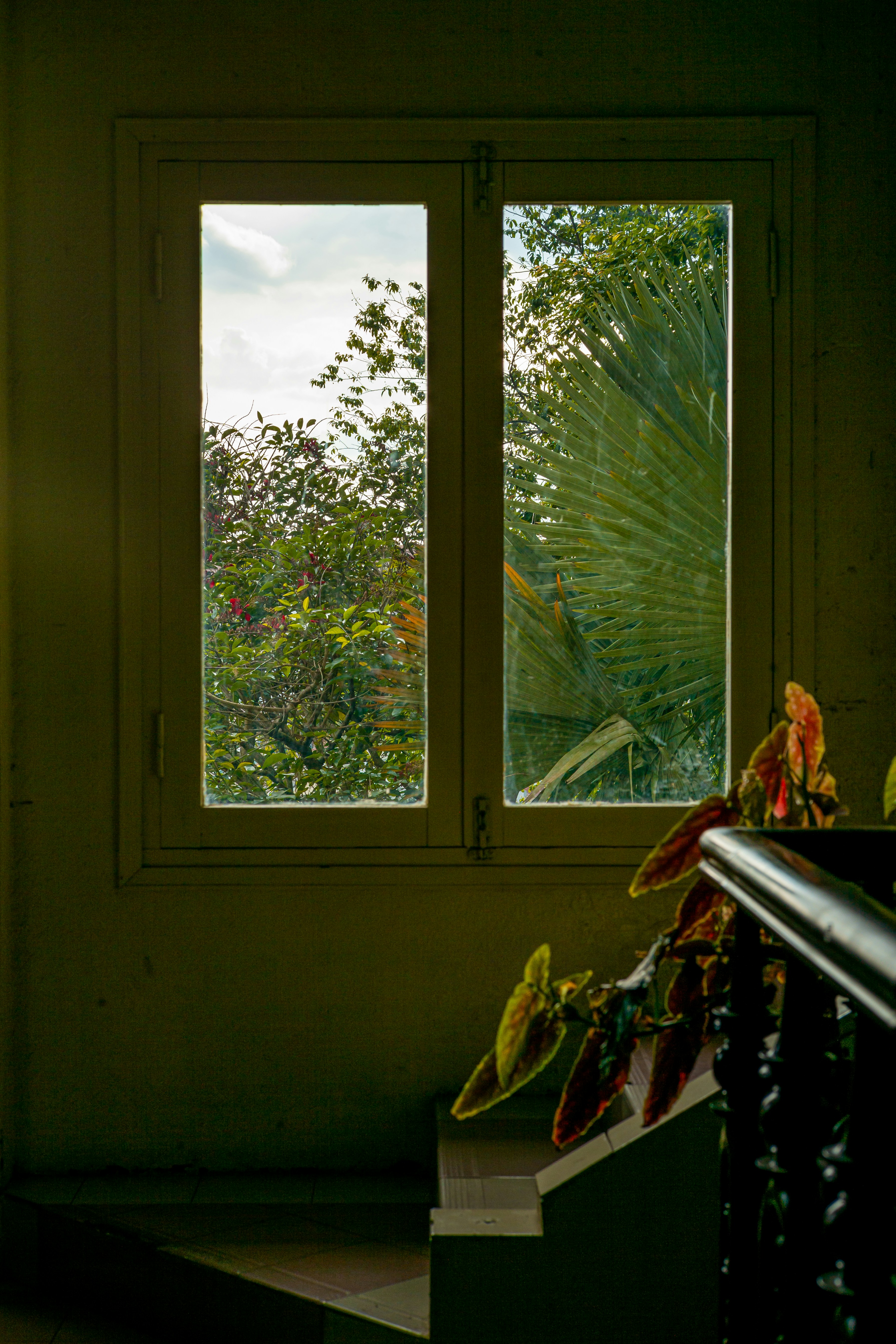 Sunlit Window Garden: Inner calm from a stairwell corner