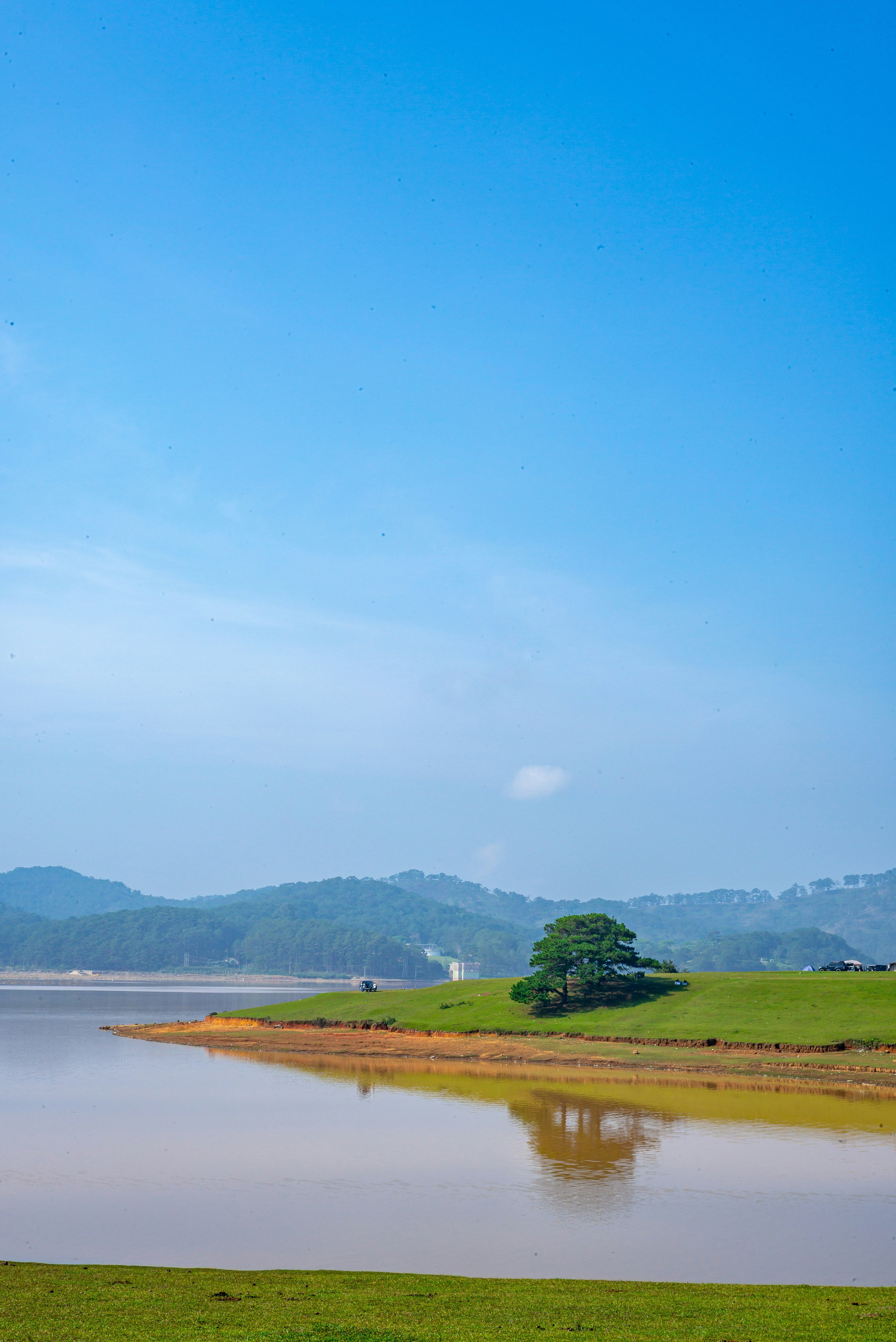Lone Tree on the Quiet Riverbank under a Pristine Blue Sky