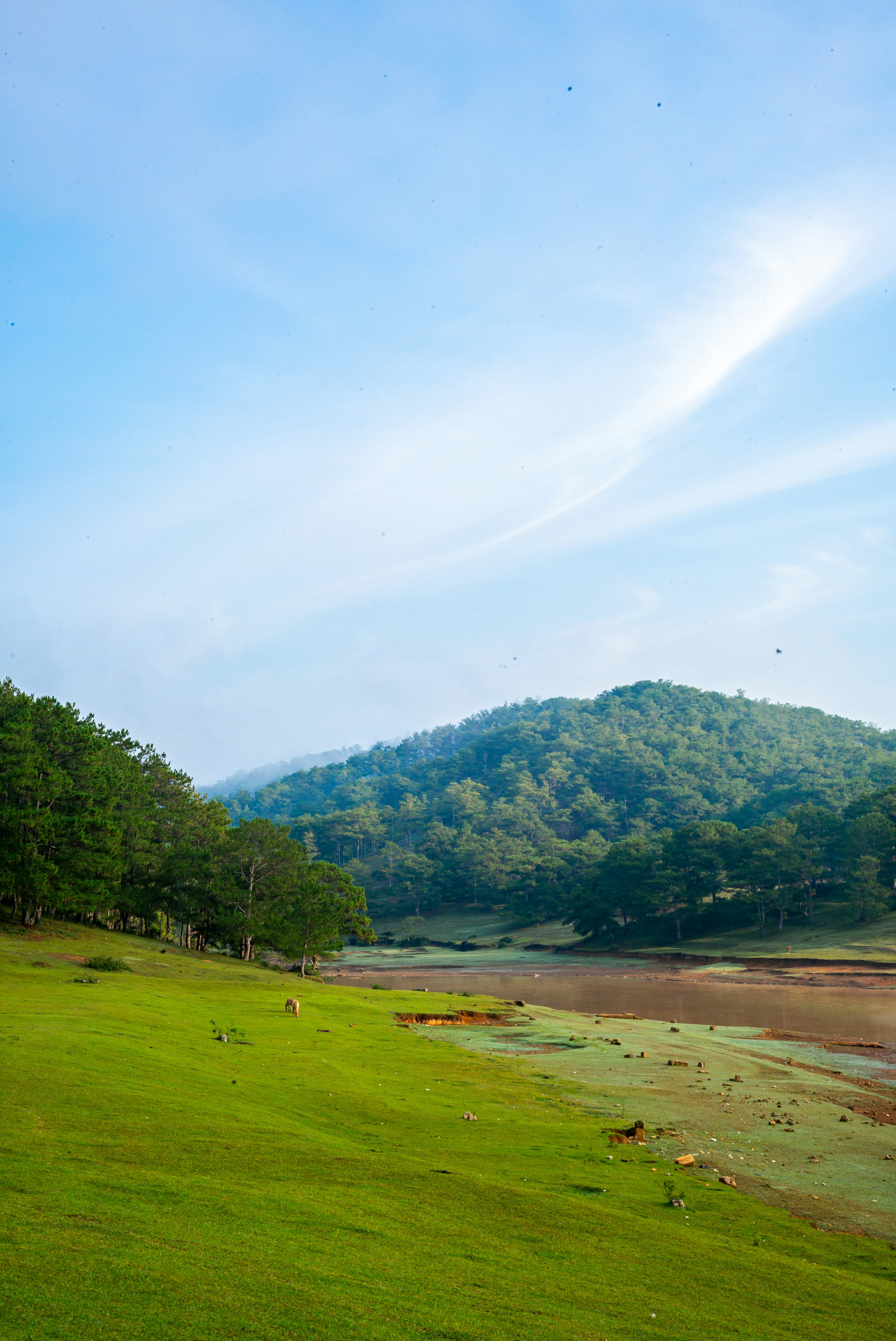 Rolling Green Slopes Meet a Quiet Velvet Sky
