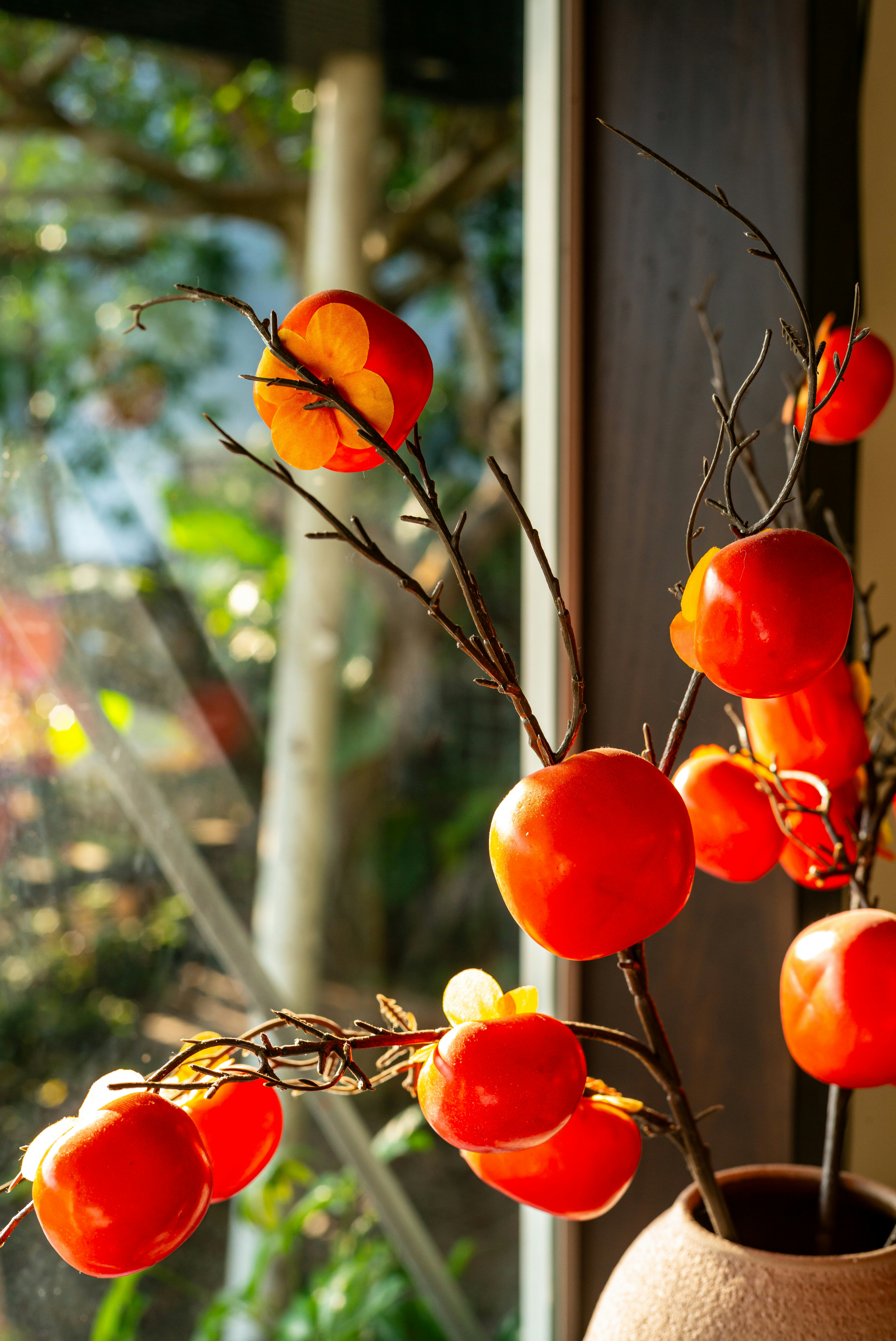 Orange Persimmon Portrait by a Window