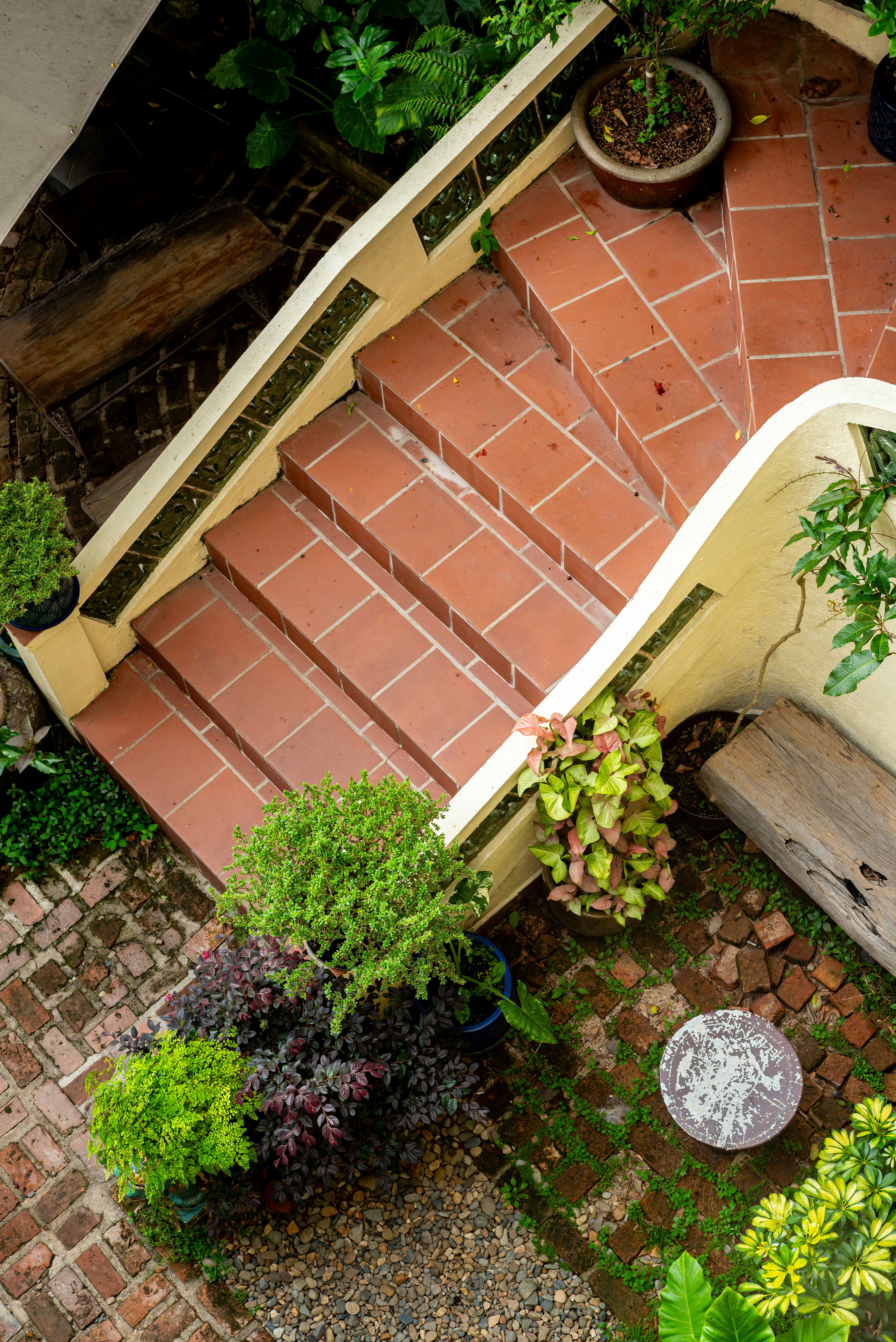 Terracotta Steps and Verdant Terrace: An Aerial Studio of Garden Geometry
