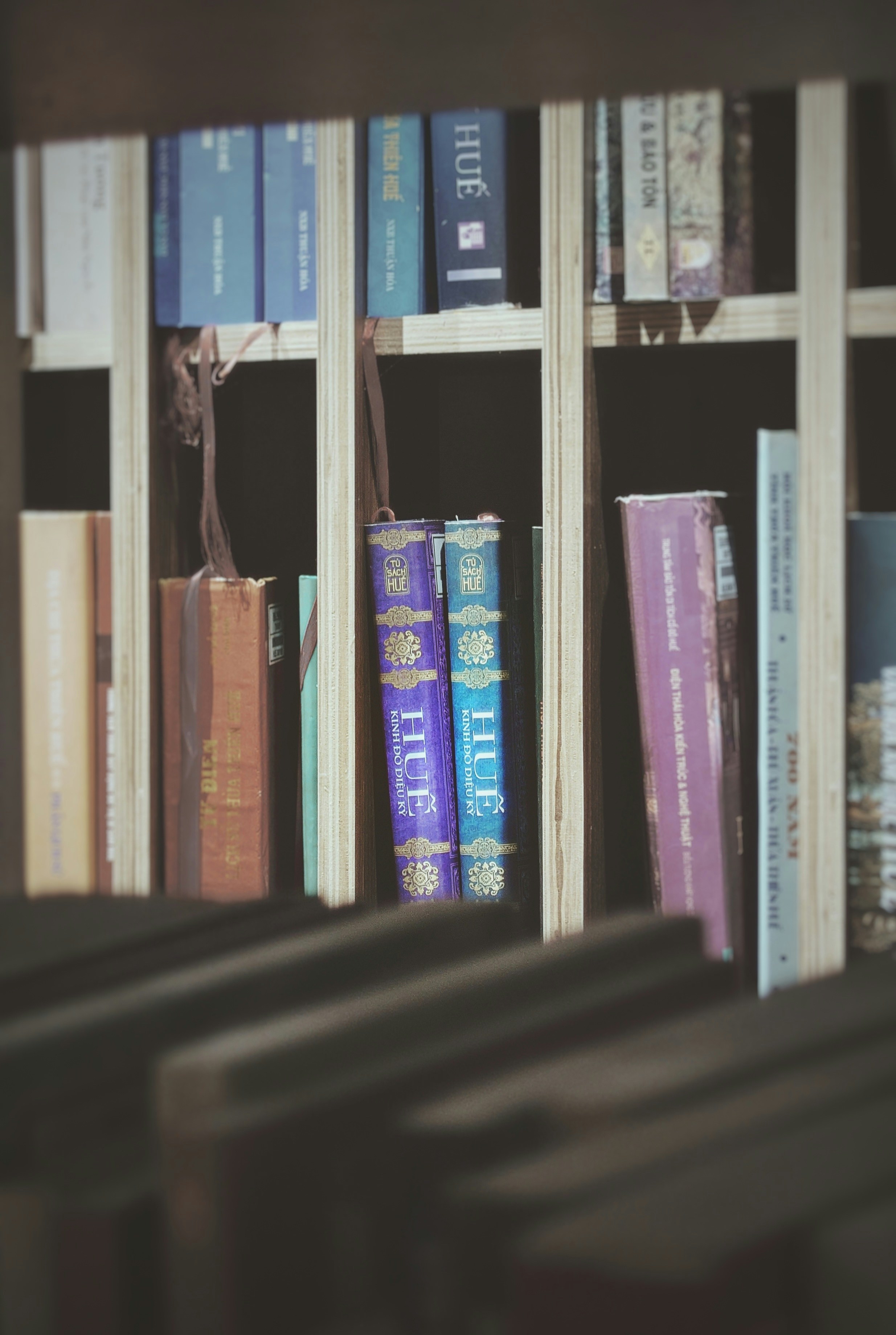 Shelf of Herbarium-like Spines: A Quiet Library of Hues