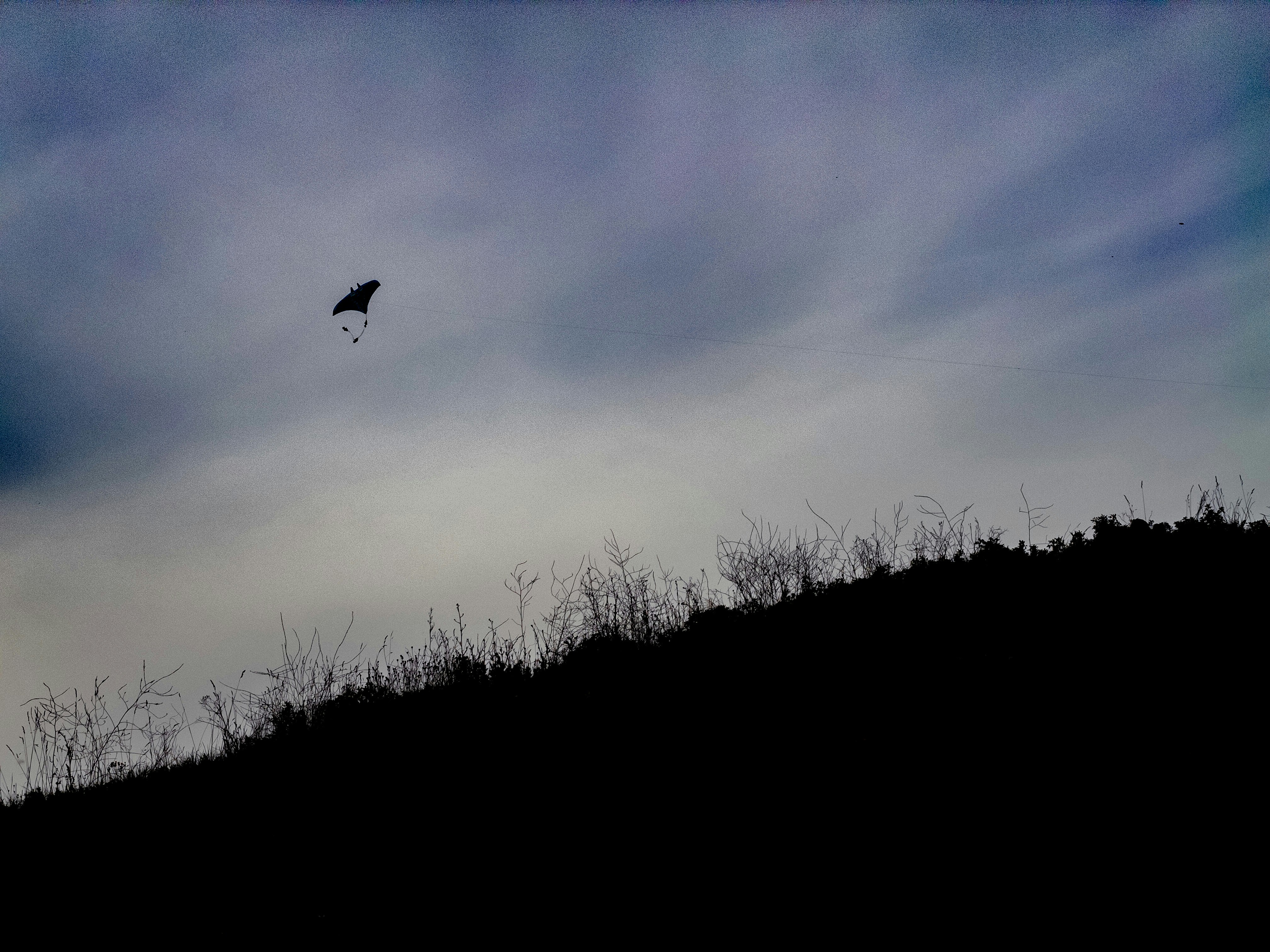 Silhouette Above the Ridge: A Kite Against the Dusk Sky