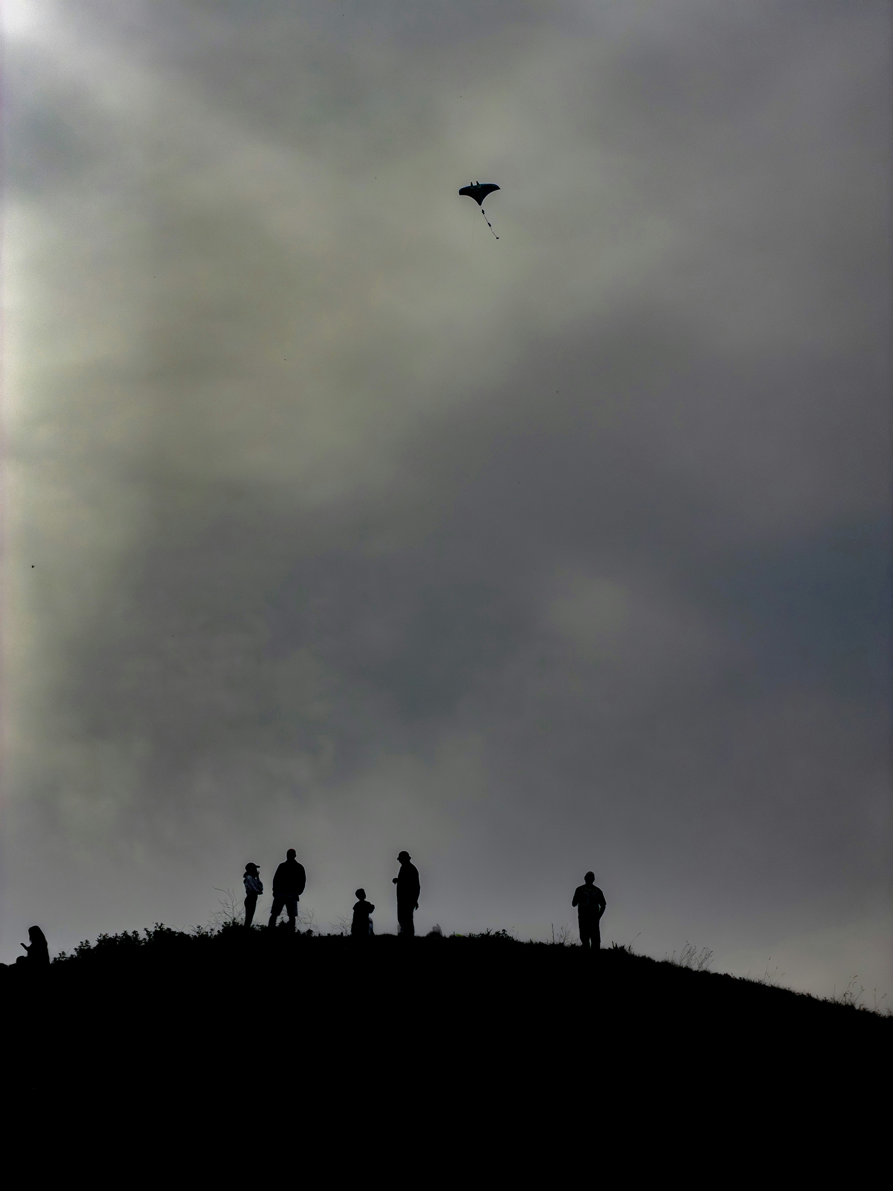 Silhouette Summit: A Quiet Gathering Under a Distant Sky