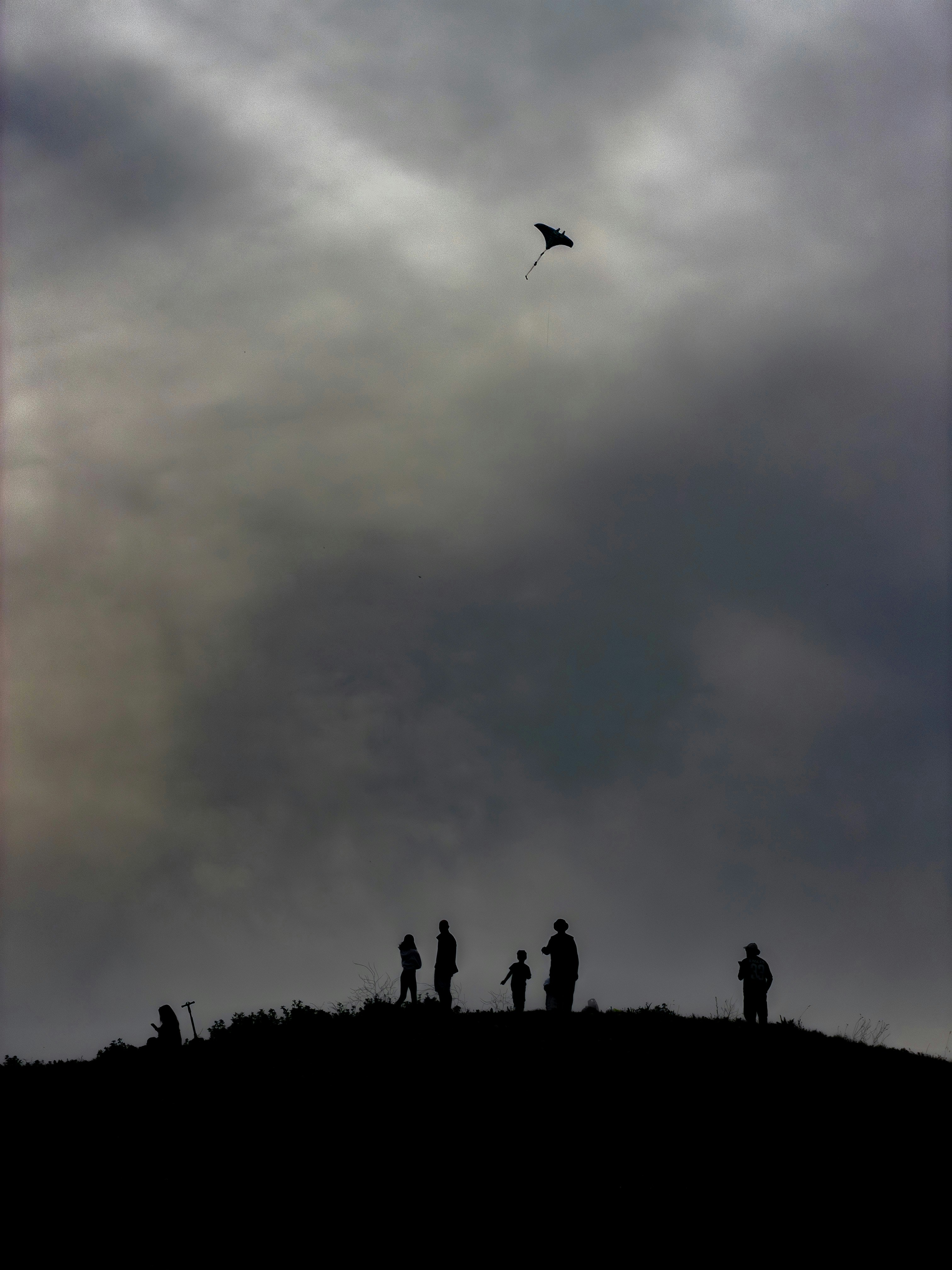 Silhouette on the Horizon: A Kite in a Stormy Evening