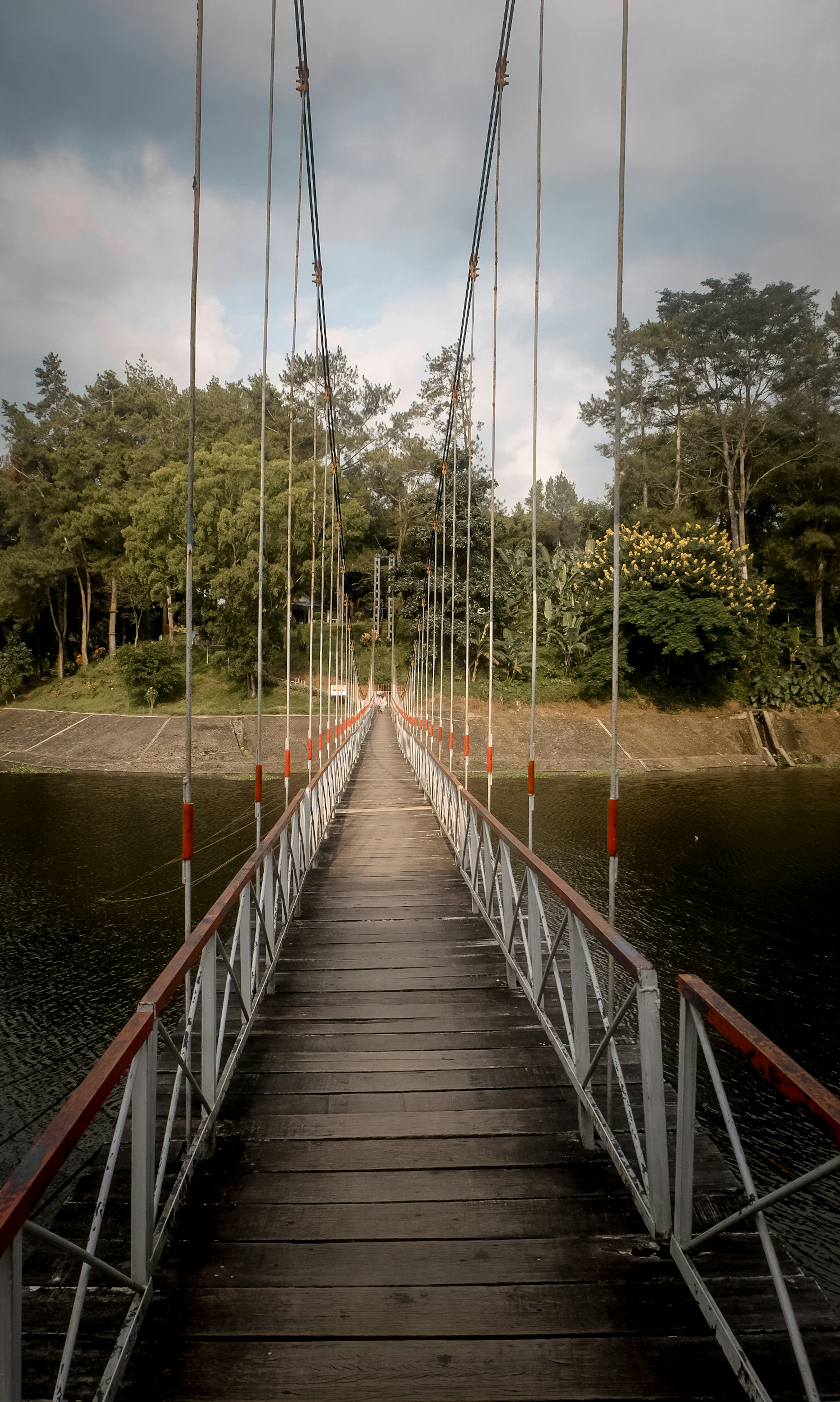 Bridge to the Green Horizon: A Narrow Wander Through Tension and Trees