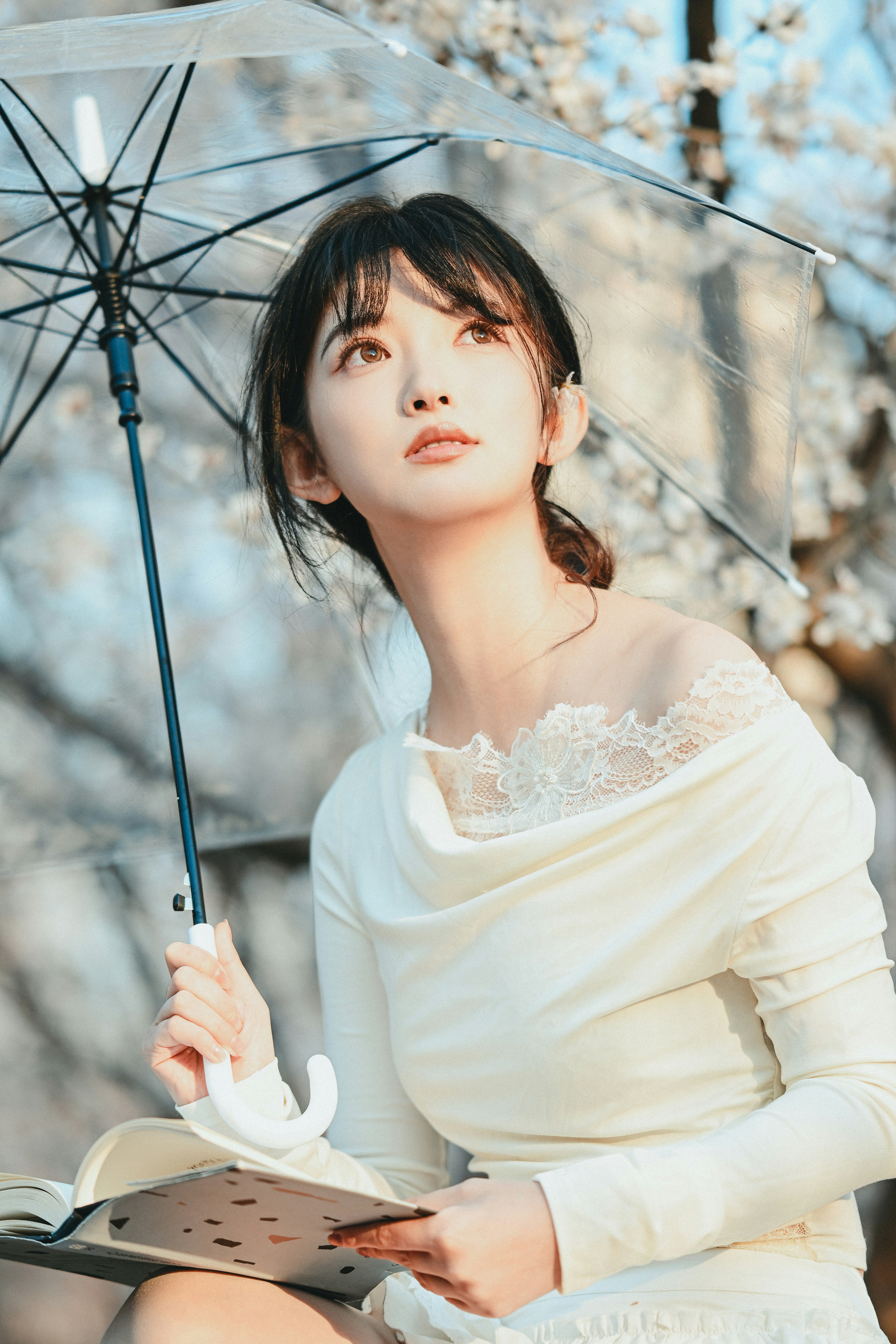 Under a Clear Umbrella: Portrait of Quiet Grace