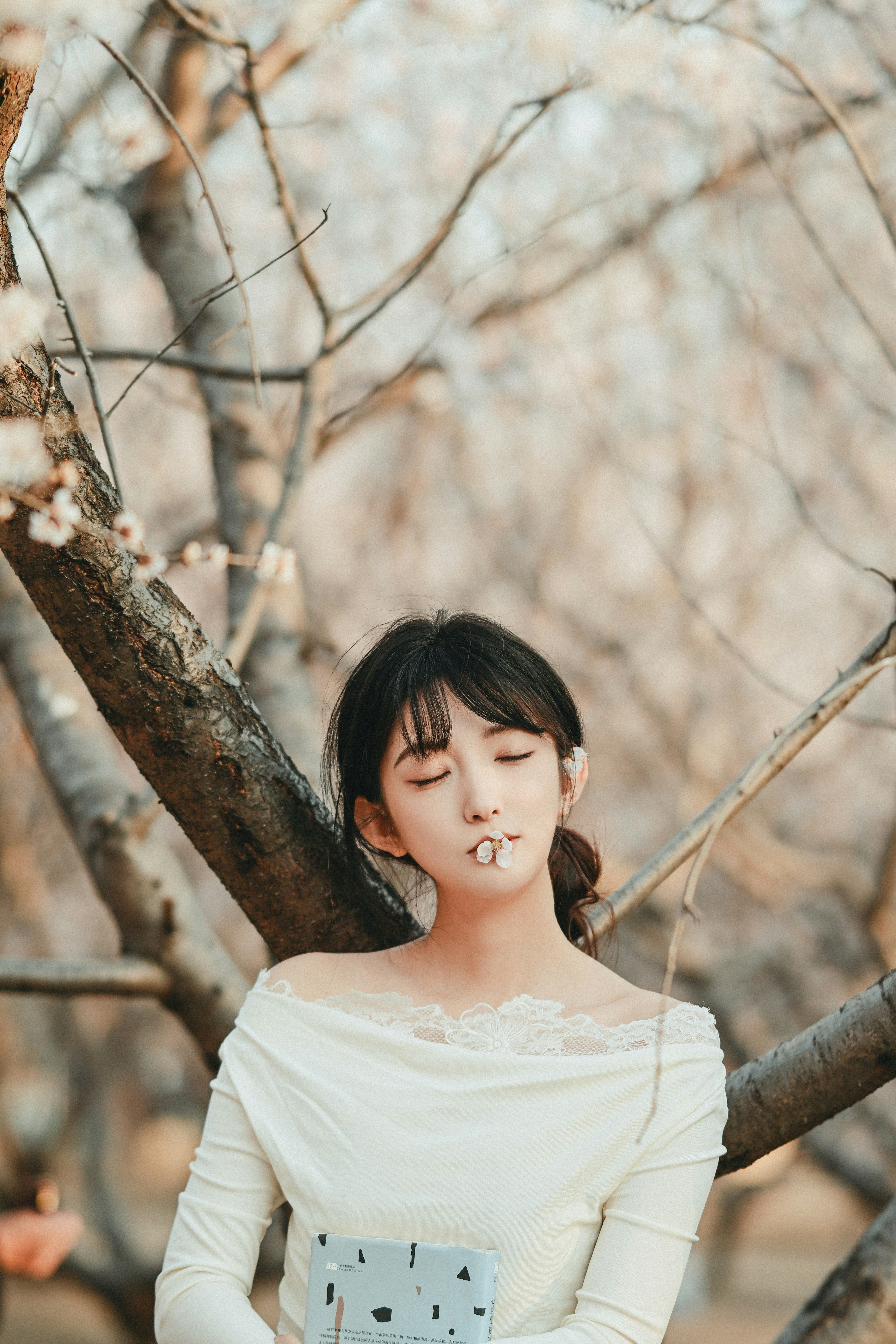 Blossoms in Quiet Bloom: A Silent Moment in White