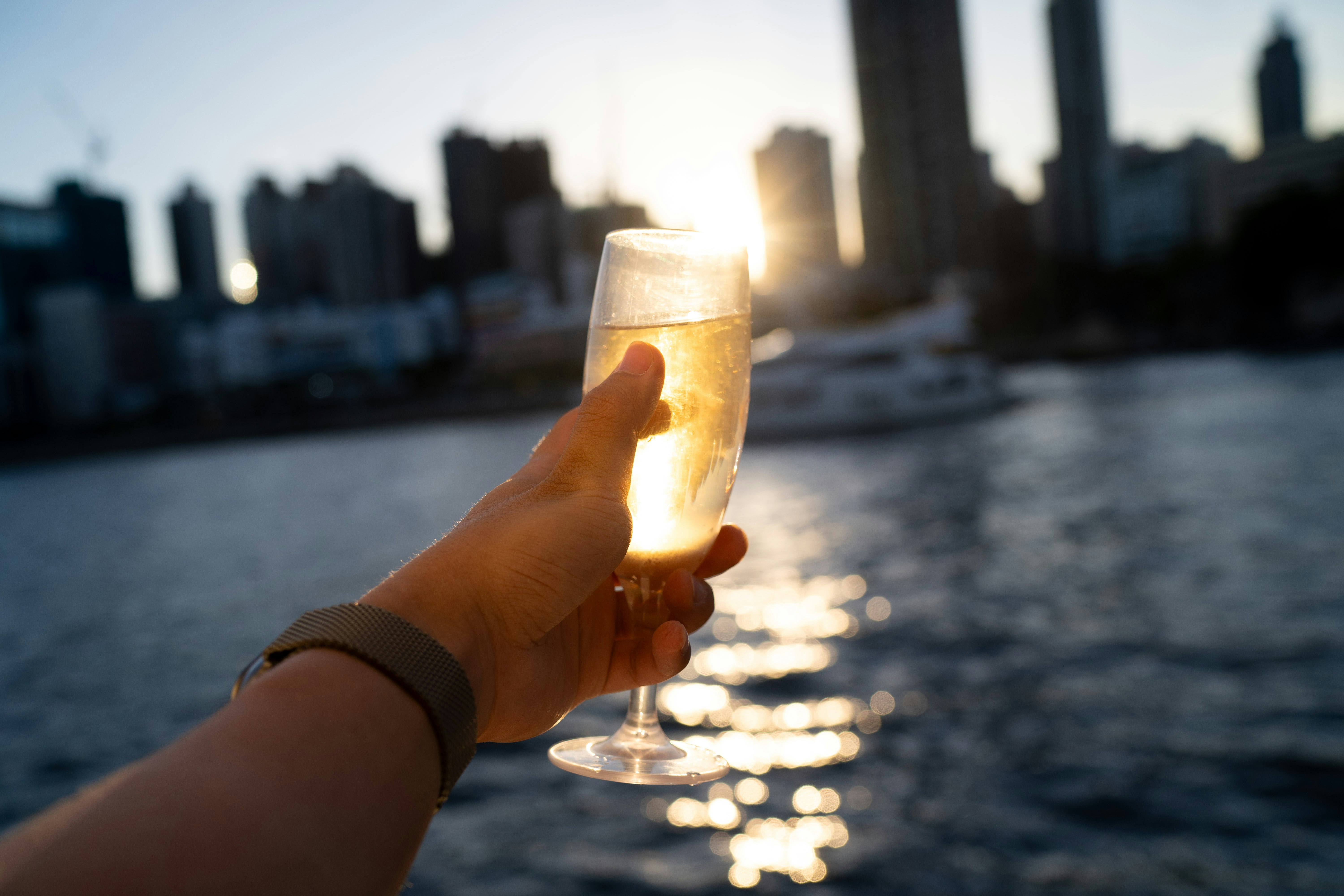 Toast at Waterfront Sunset: A Glass Lifted Against a Cityscape