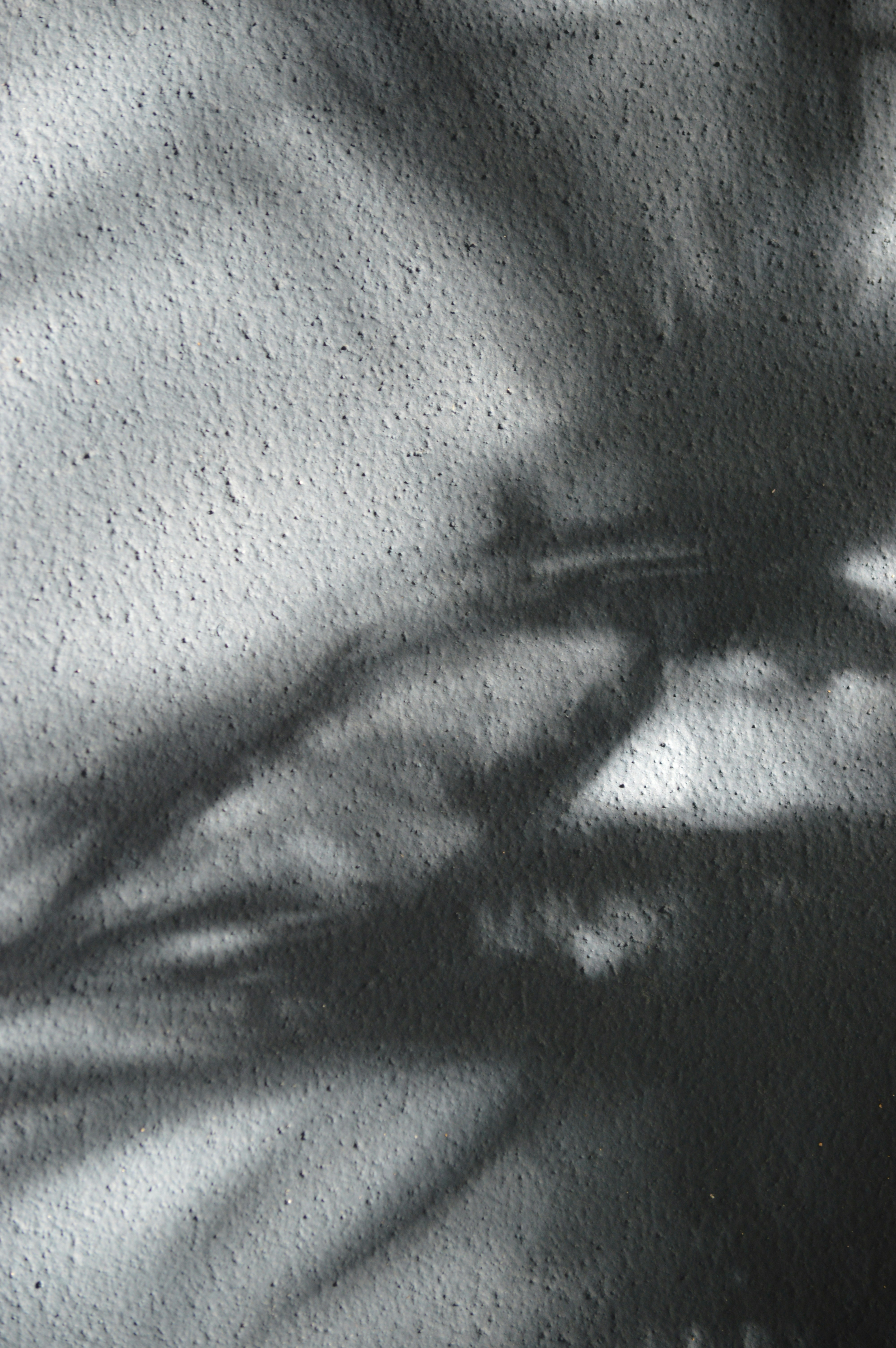 Shadowed Bicycle Frame on Textured Wall