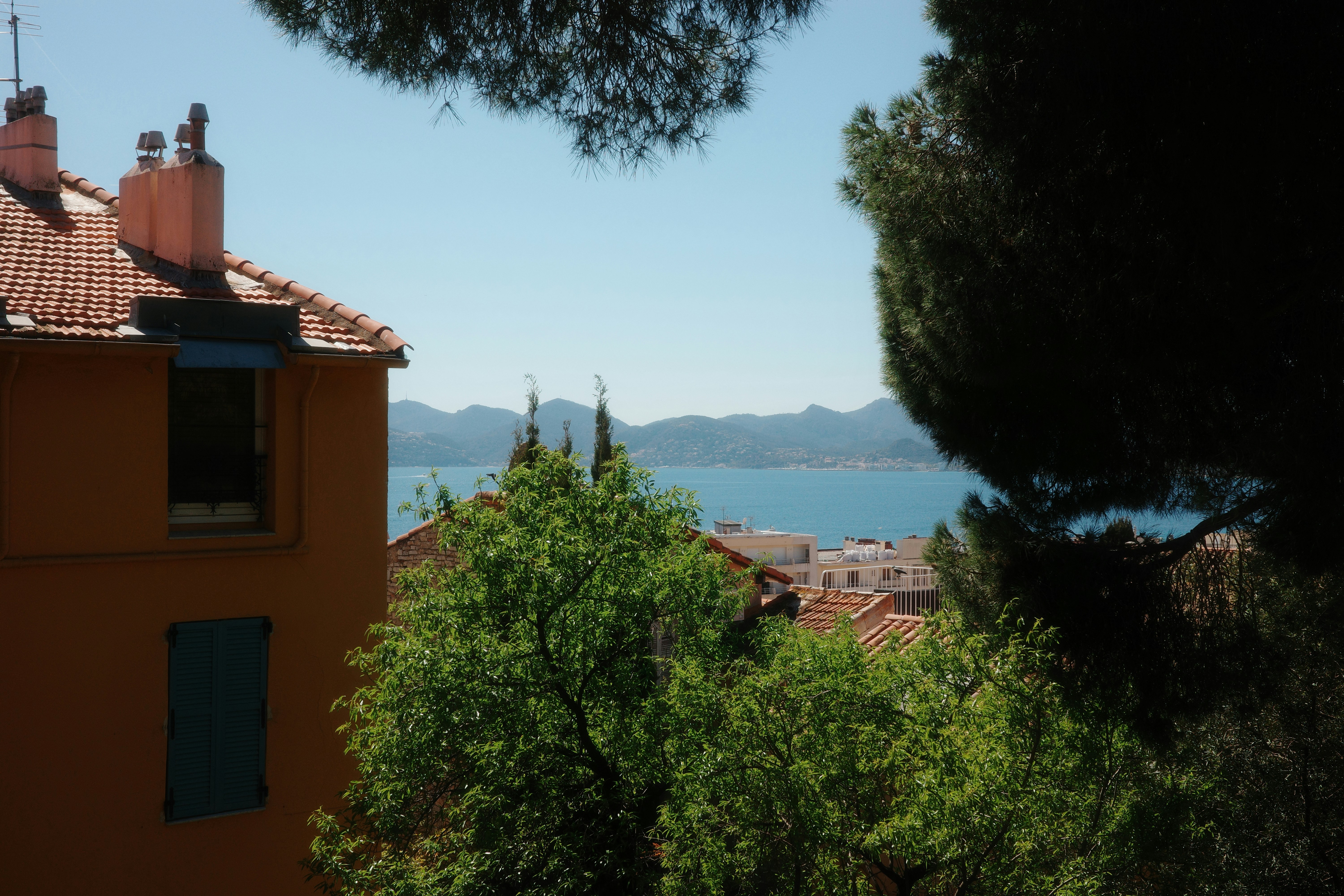 Sunlit harbor glimpsed beyond sun-warmed hillside homes