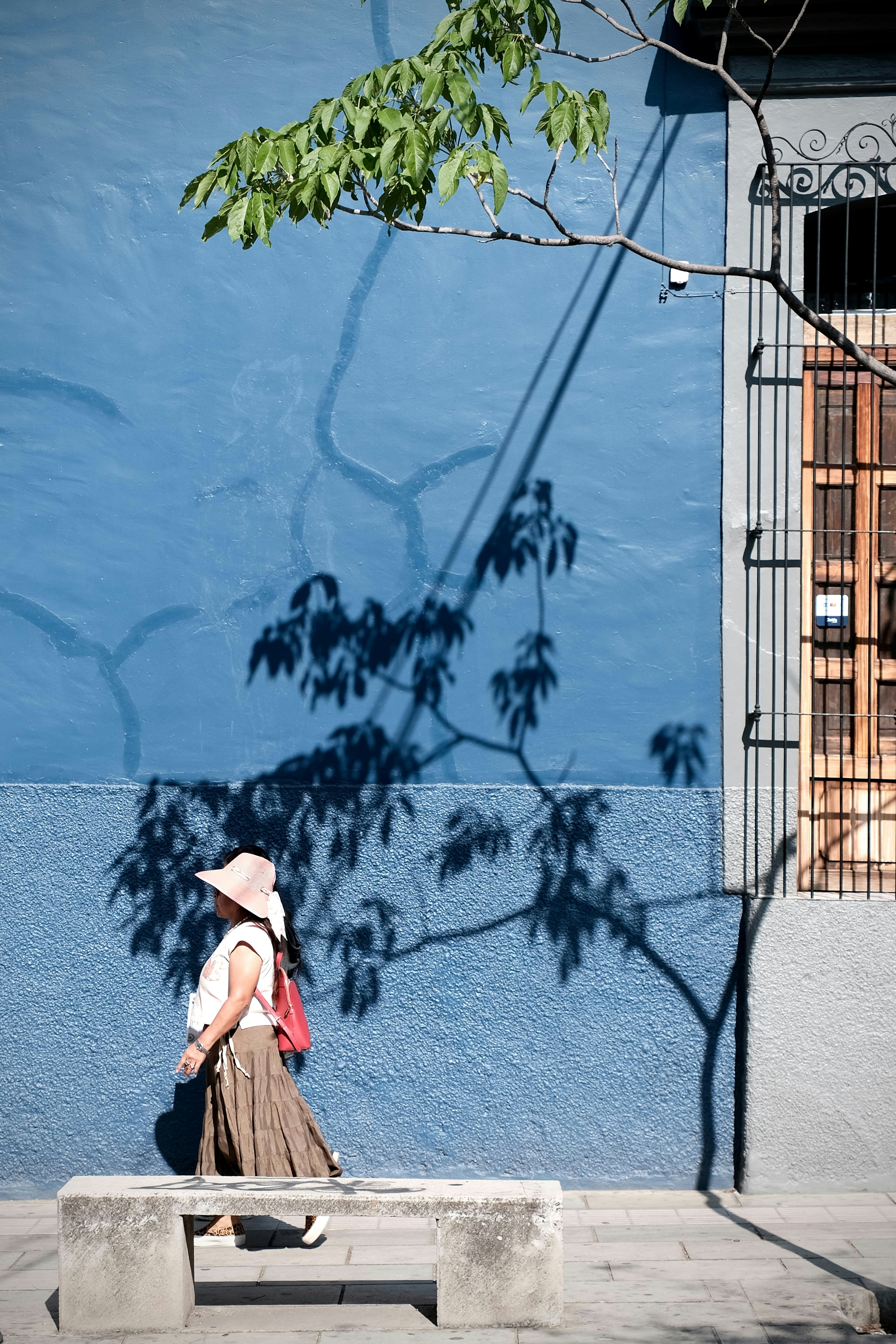 Blue Wall, Quiet Walk: A Woman in Profile Against a Shaded Street