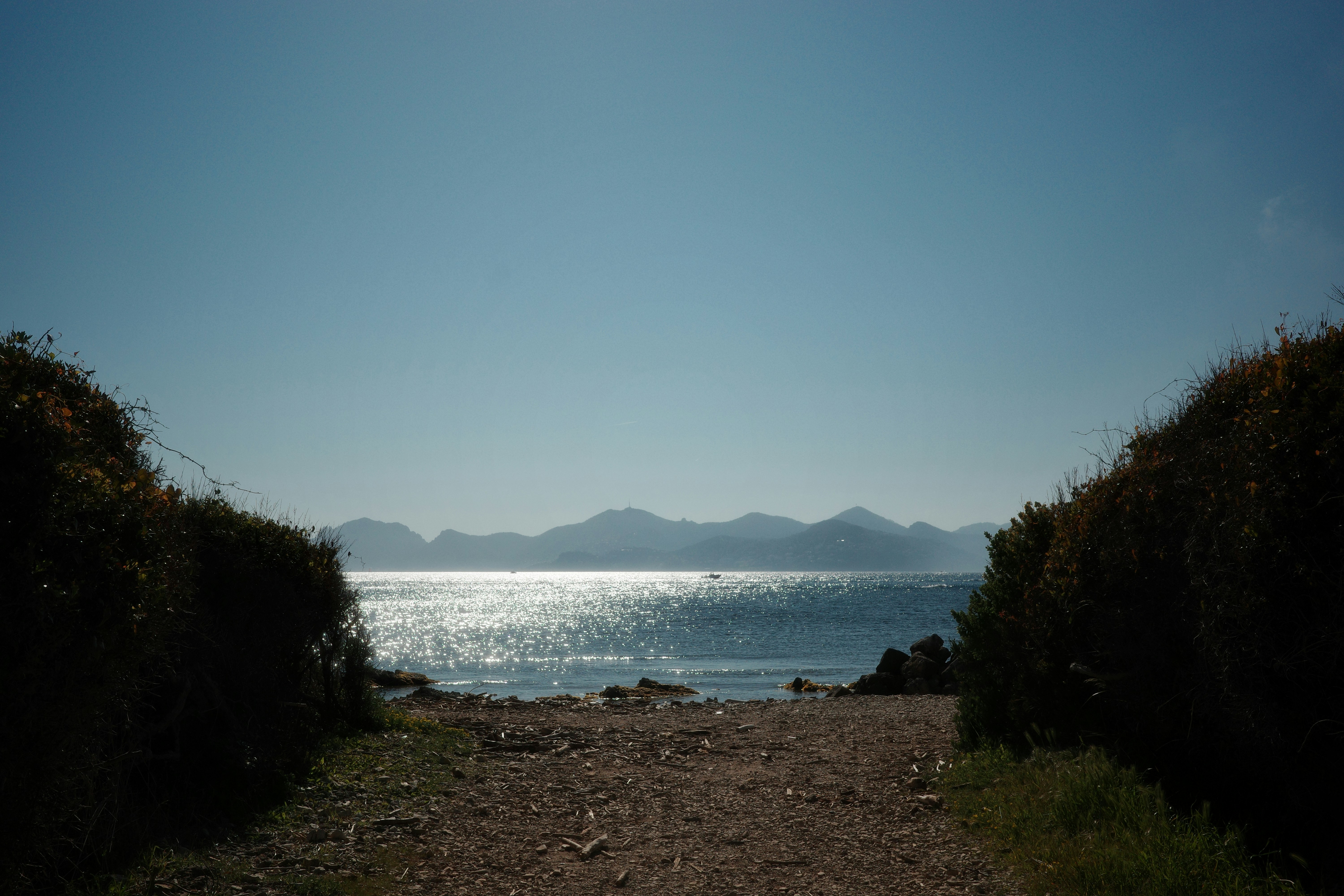 Sunlit Path to a Serene Seascape