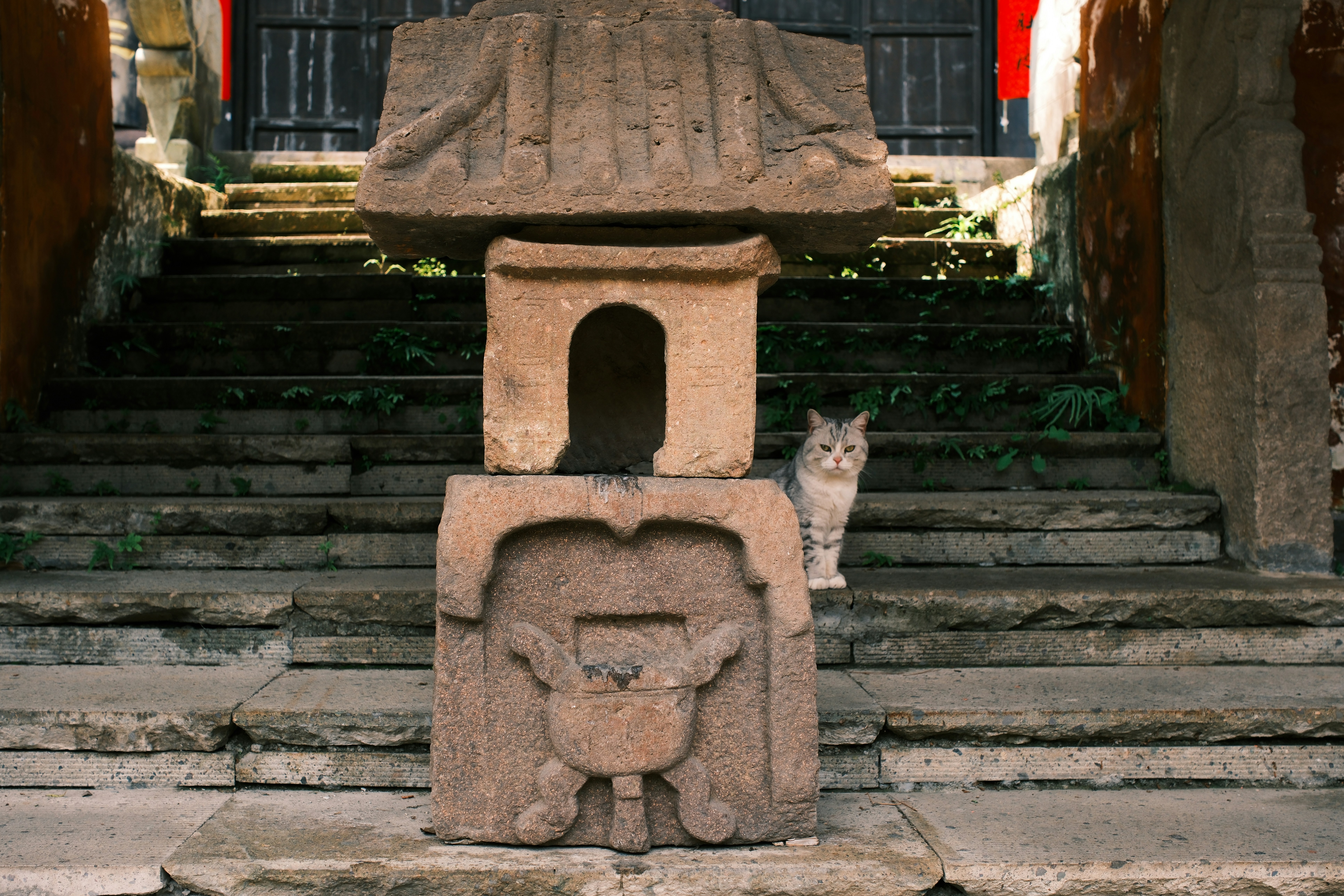 Stone Sacred Steps: A Cat Stands Guard by the Ancient Shrine