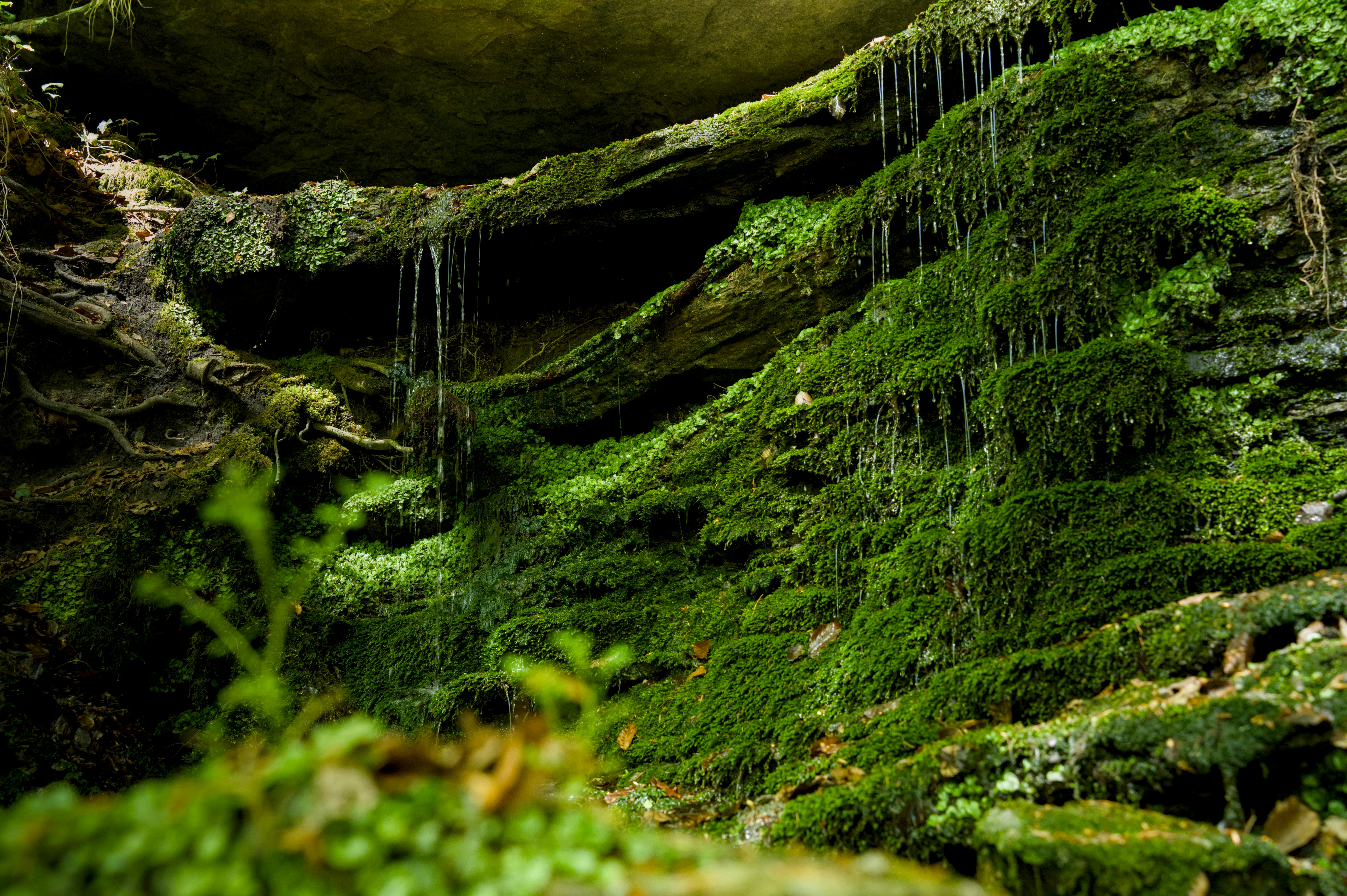 Moss-Cloaked Cliff Veil in a Hidden Cavern