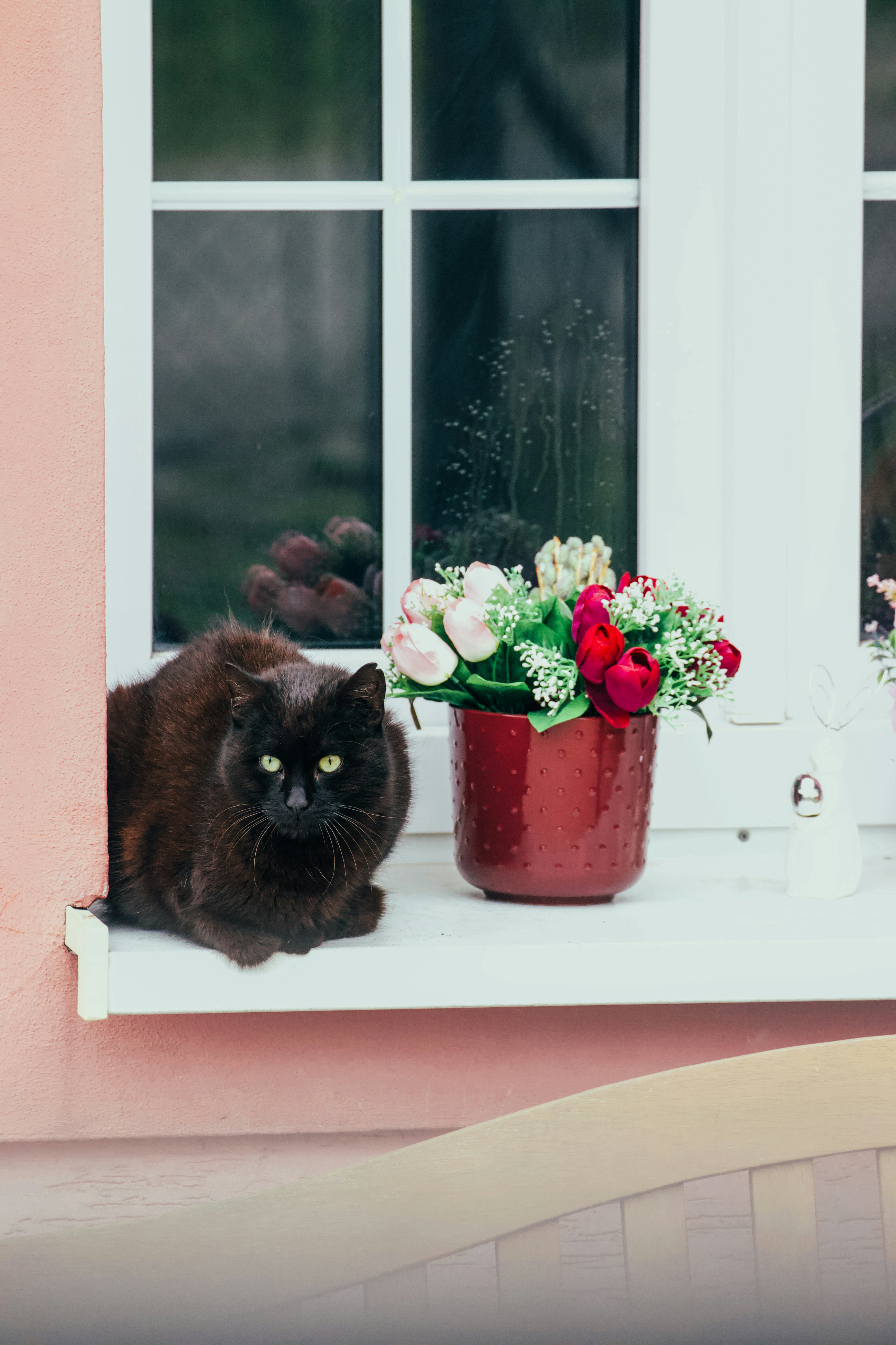 Window Sill Muse: Black Cat and Spring Vase