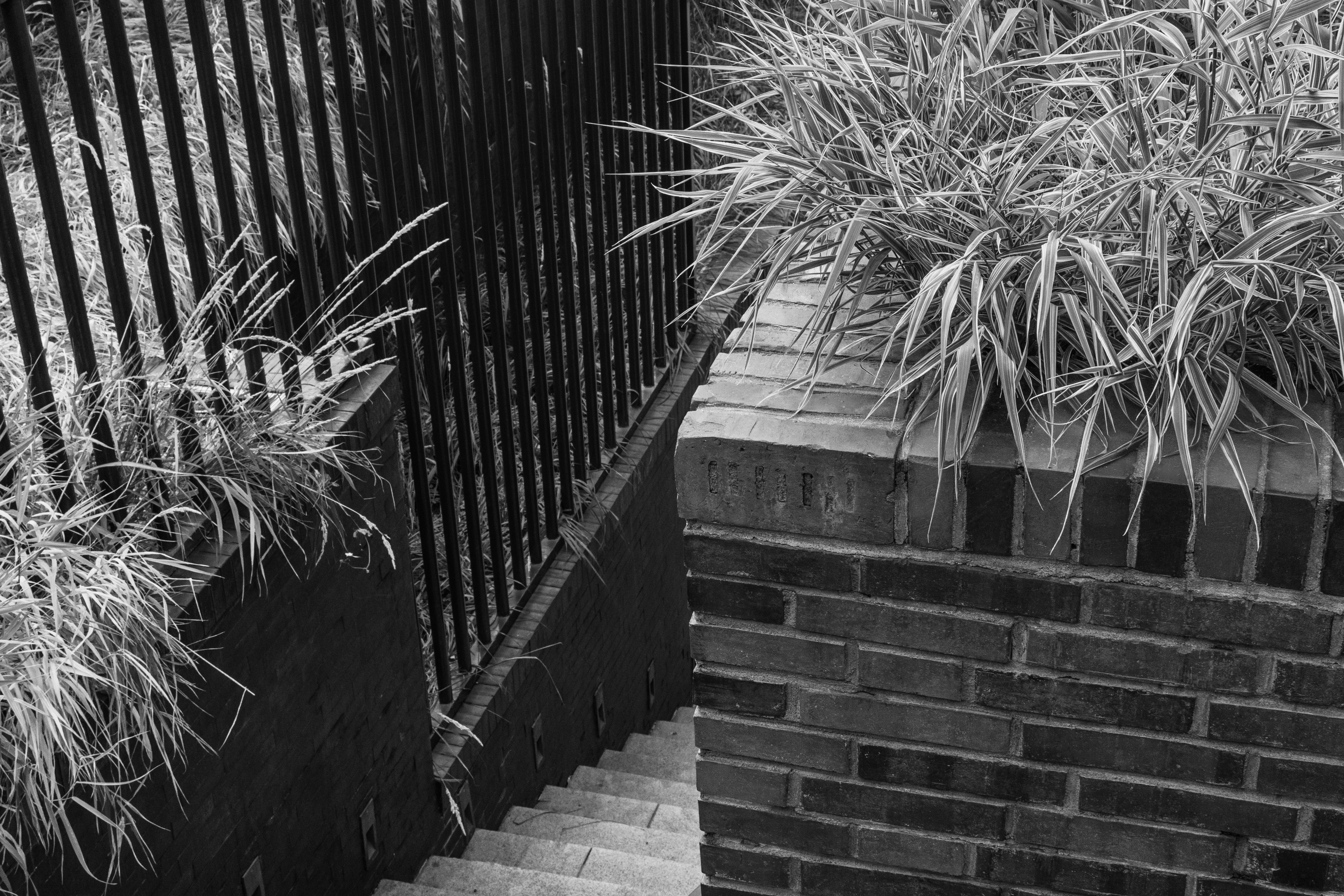 Staircase Through a Bricked Terrace