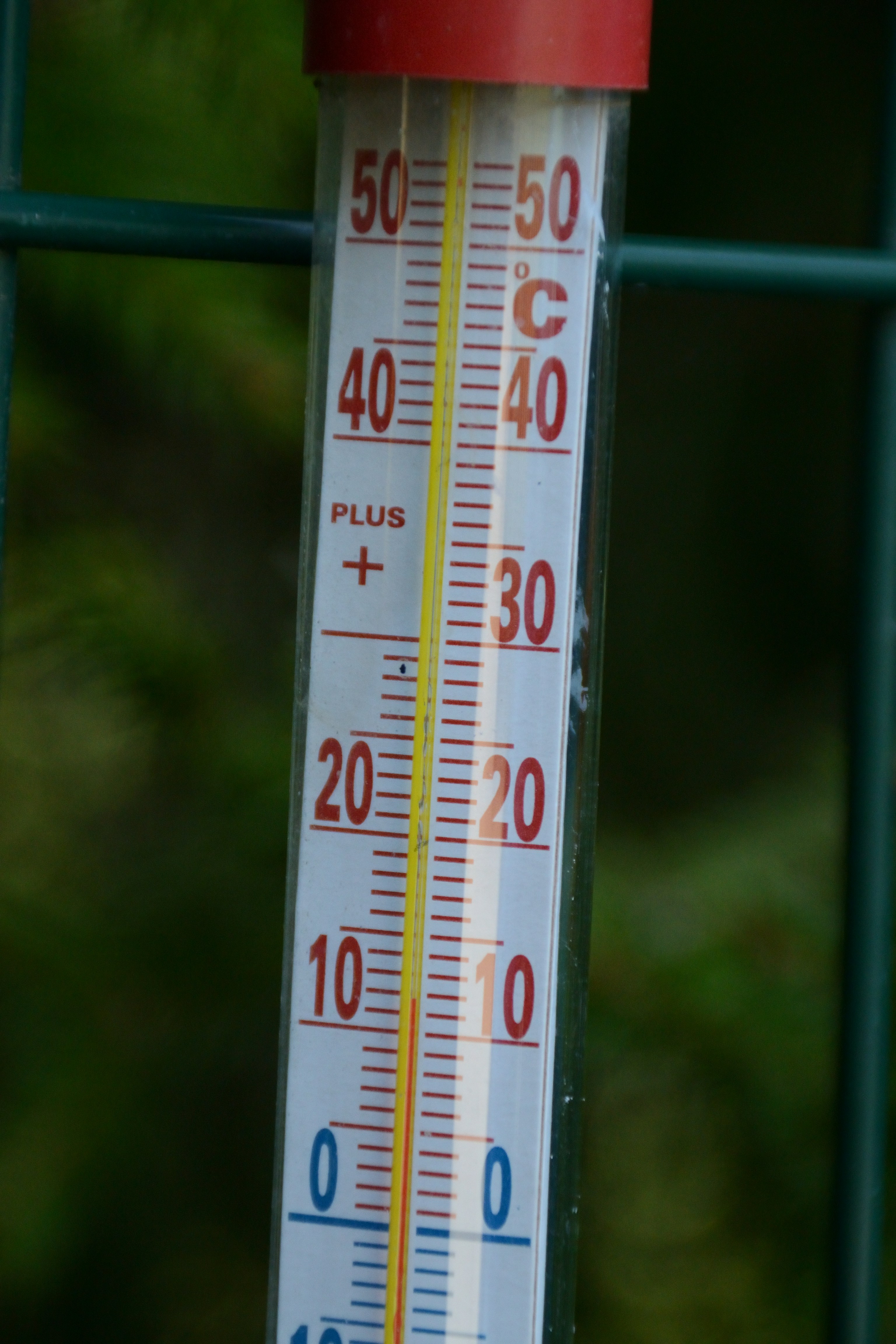 Thermometer in Focus: A Close-Up of a Red-Capped Gauge