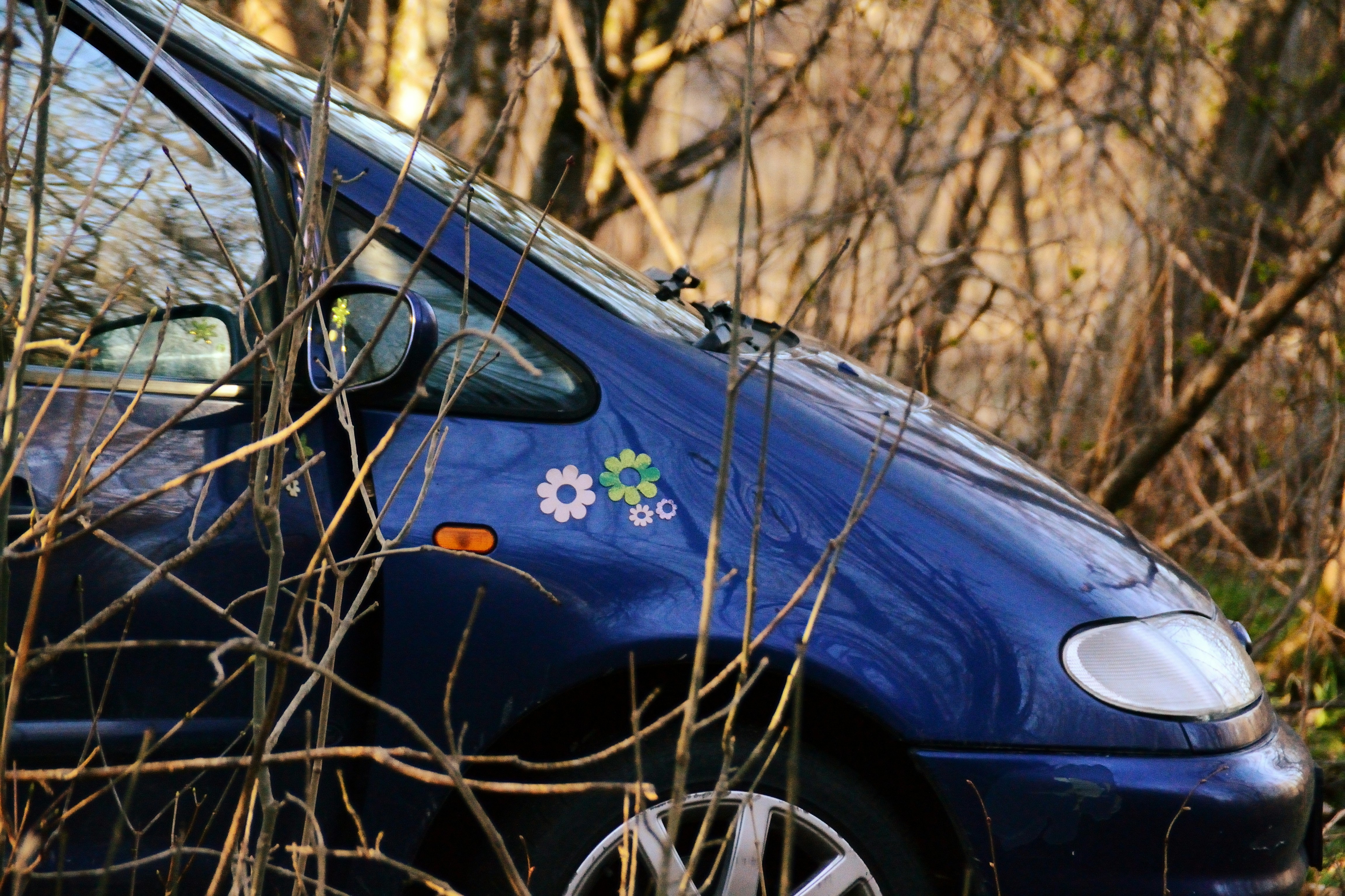 Blue van hidden in the brush: a floral sticker amid branches