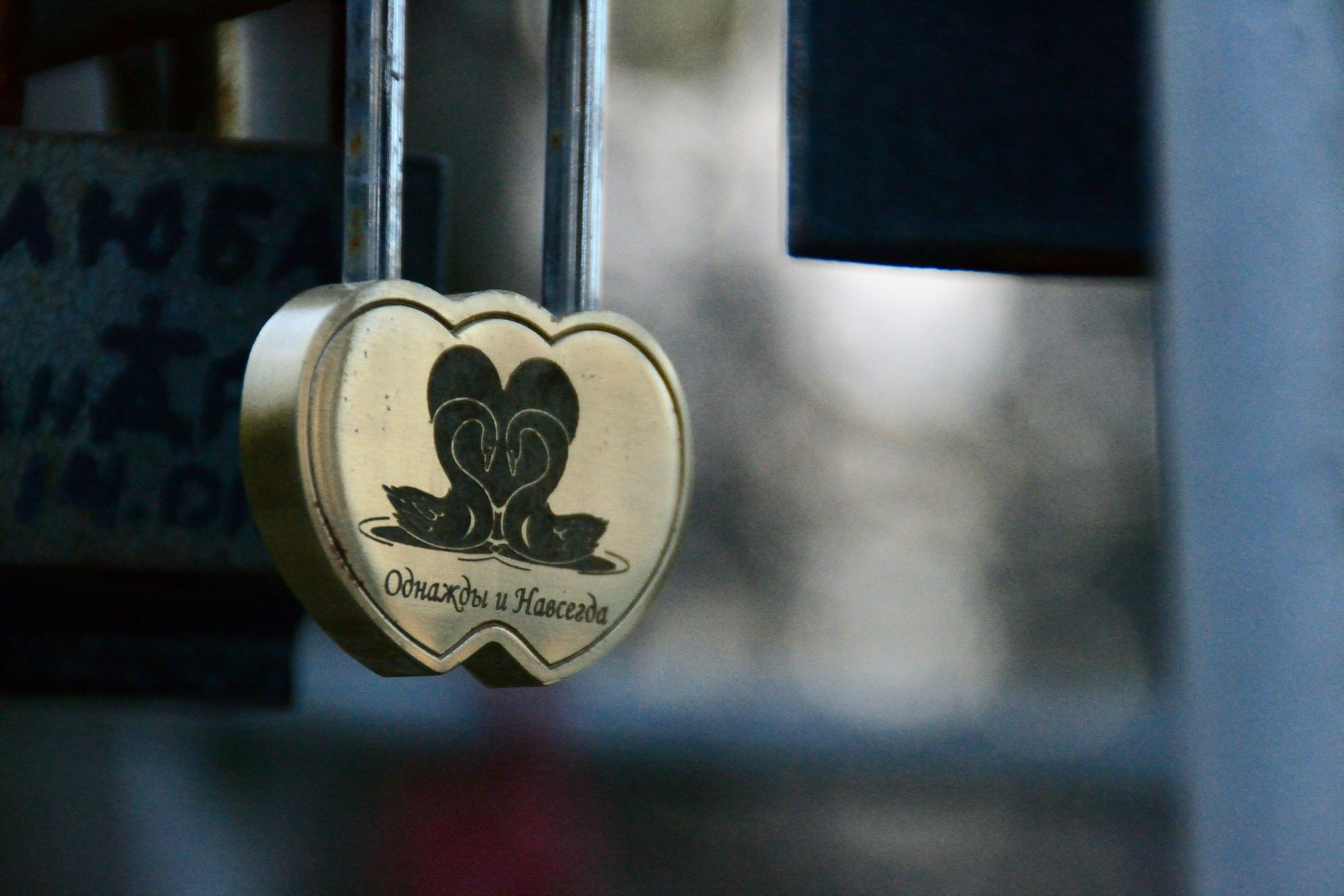 Lock of Hearts: A Close-Up of a Padlock on a Weathered Gate