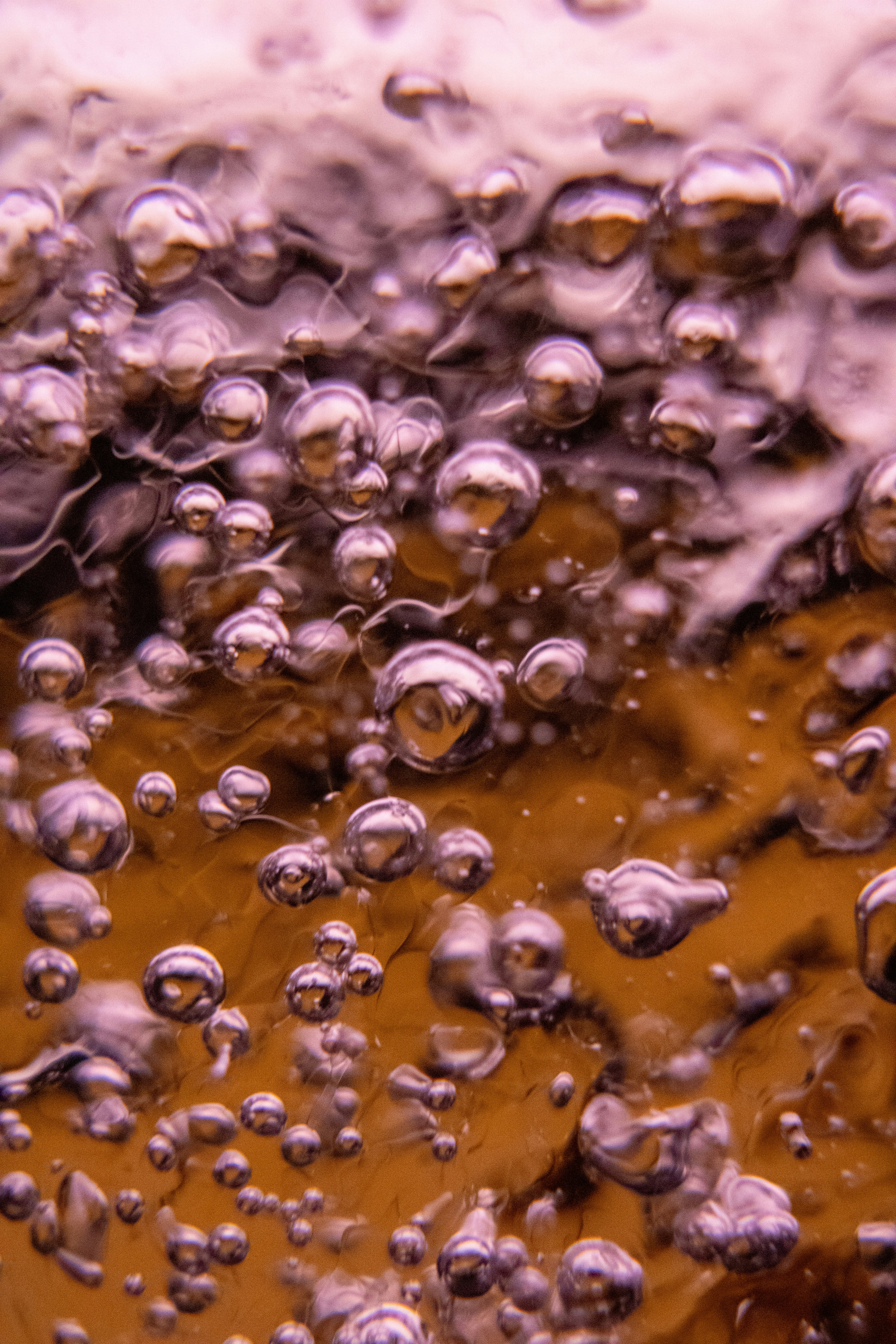 Bubbling Mosaic: Bubbles in Aqueous Velvet