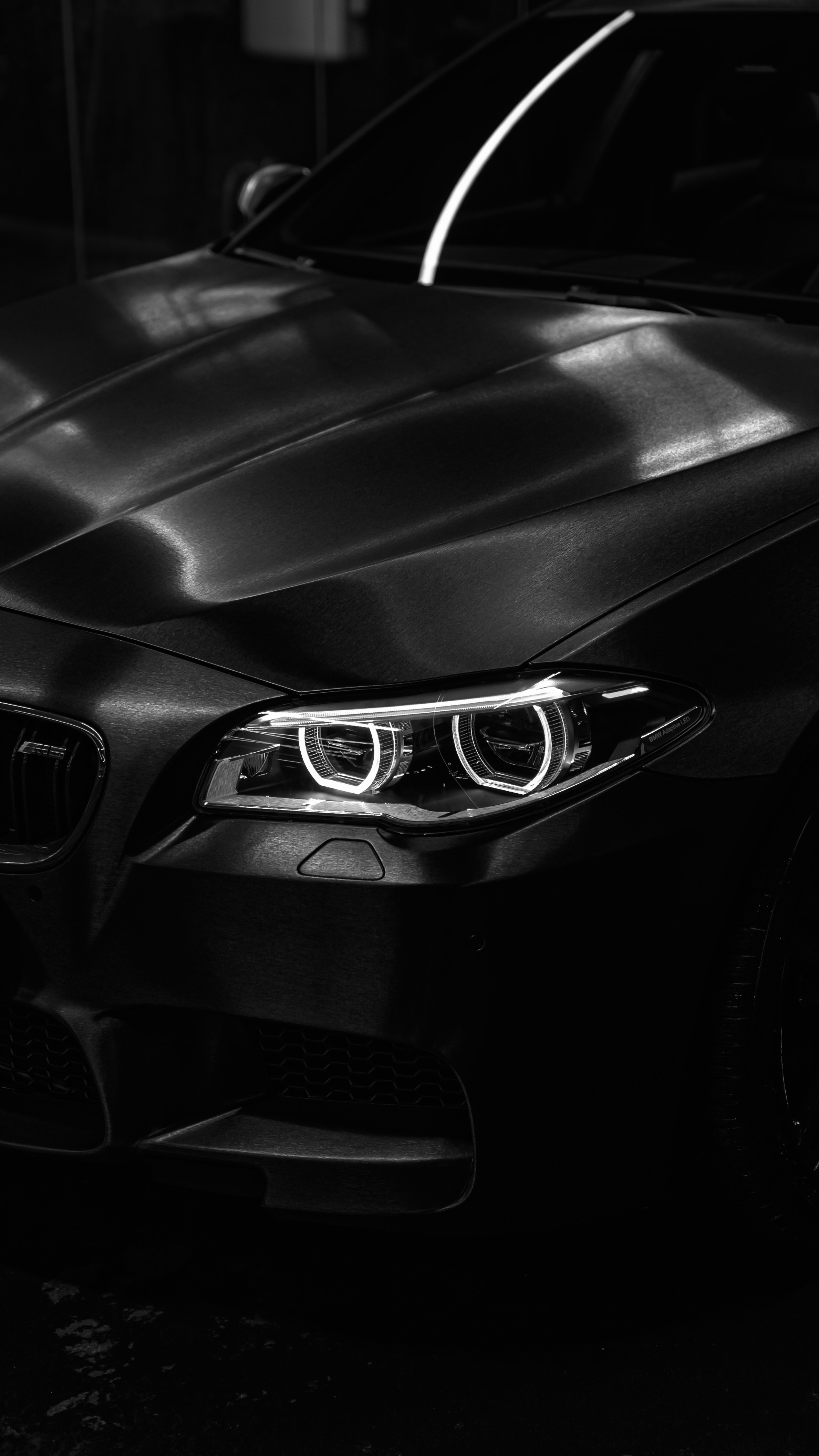 Midnight Velocity: Sculpted Hood and The Electric Edge