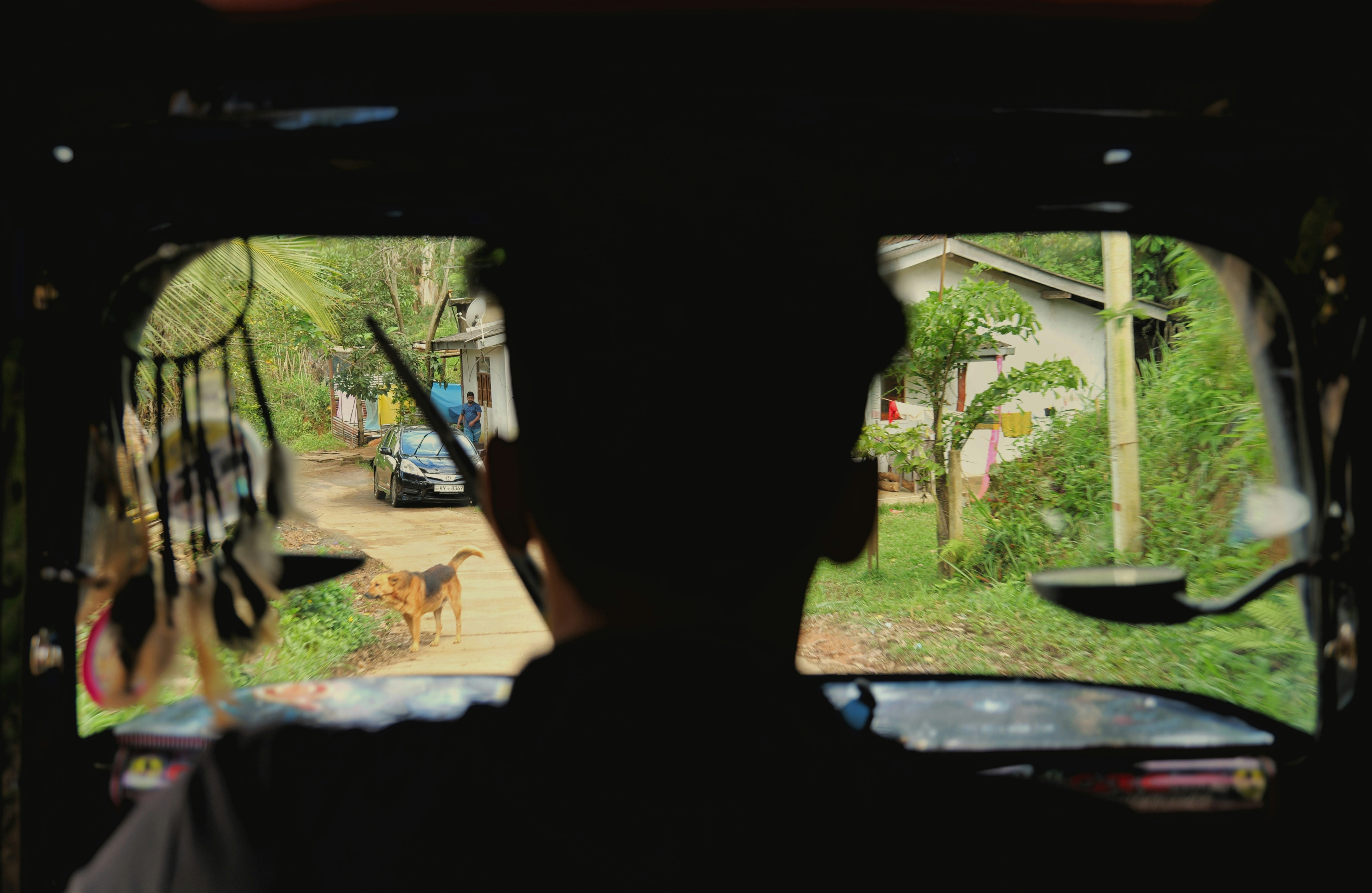 Silhouette in the Backseat: Roadside Gaze toward a Quiet Street