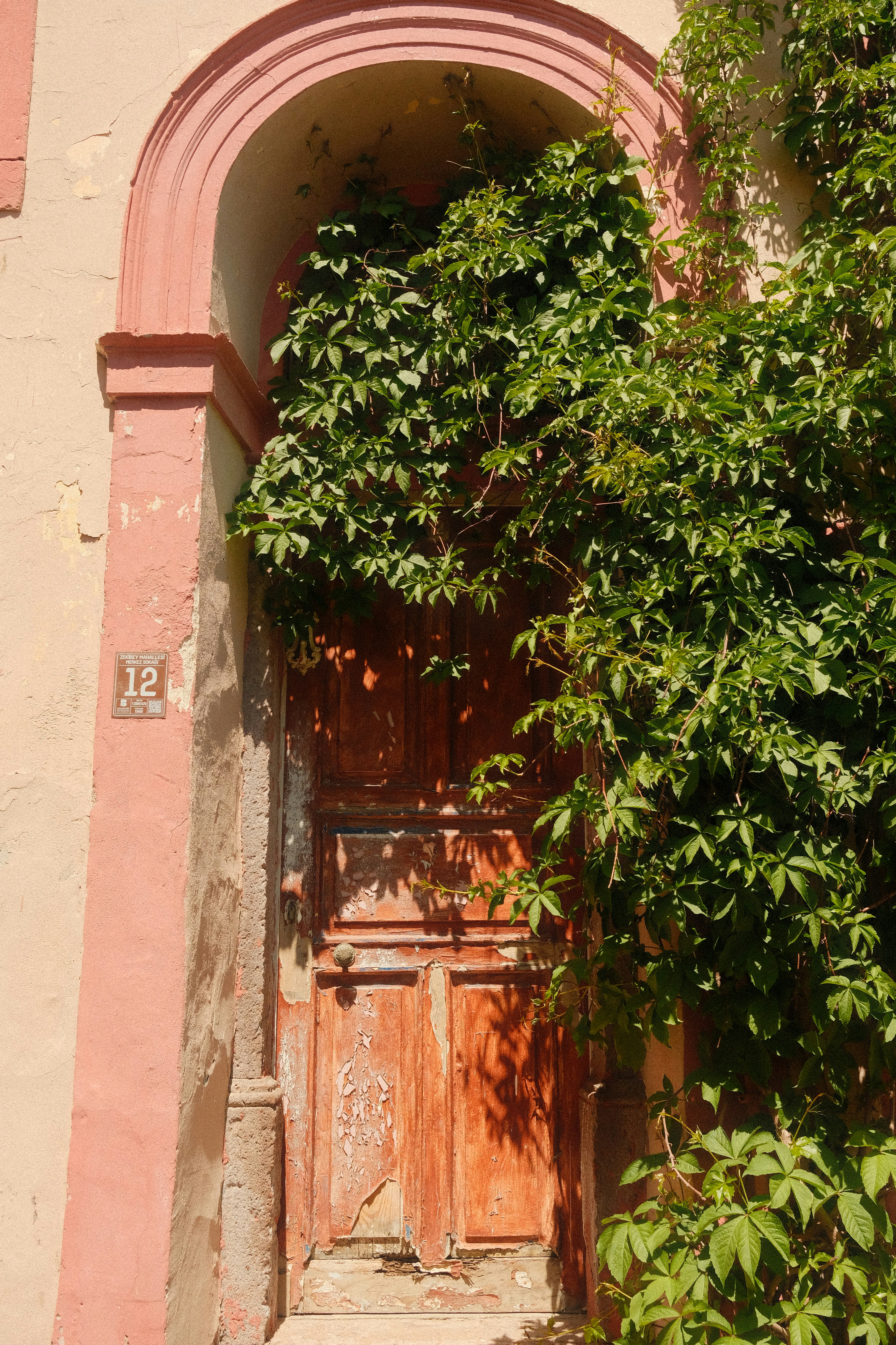 Vines Claim the Archway: A Weathered Door in Sunlit Facade