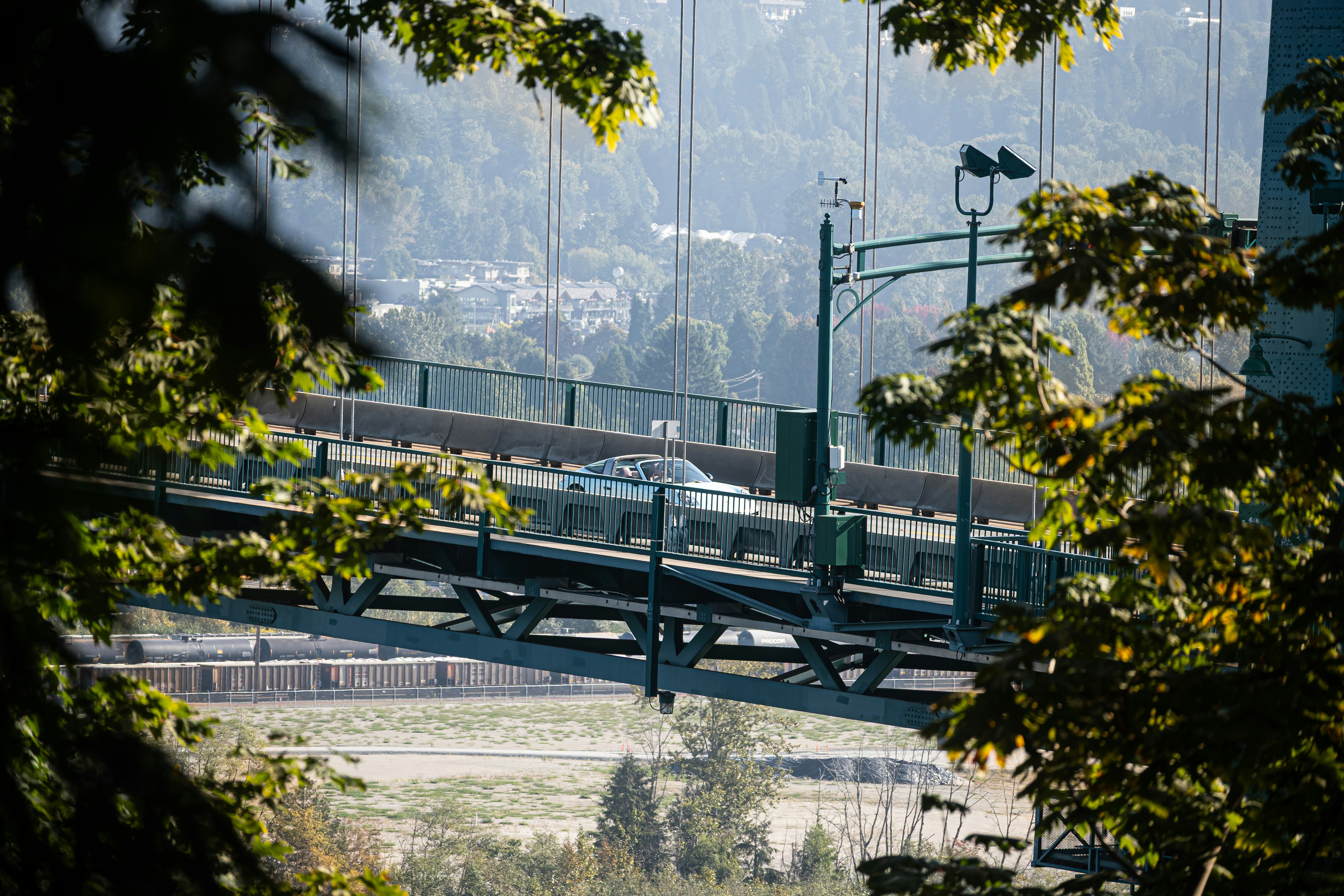 Bridge Amid Framing Leaves: Urban Roadway Crossing