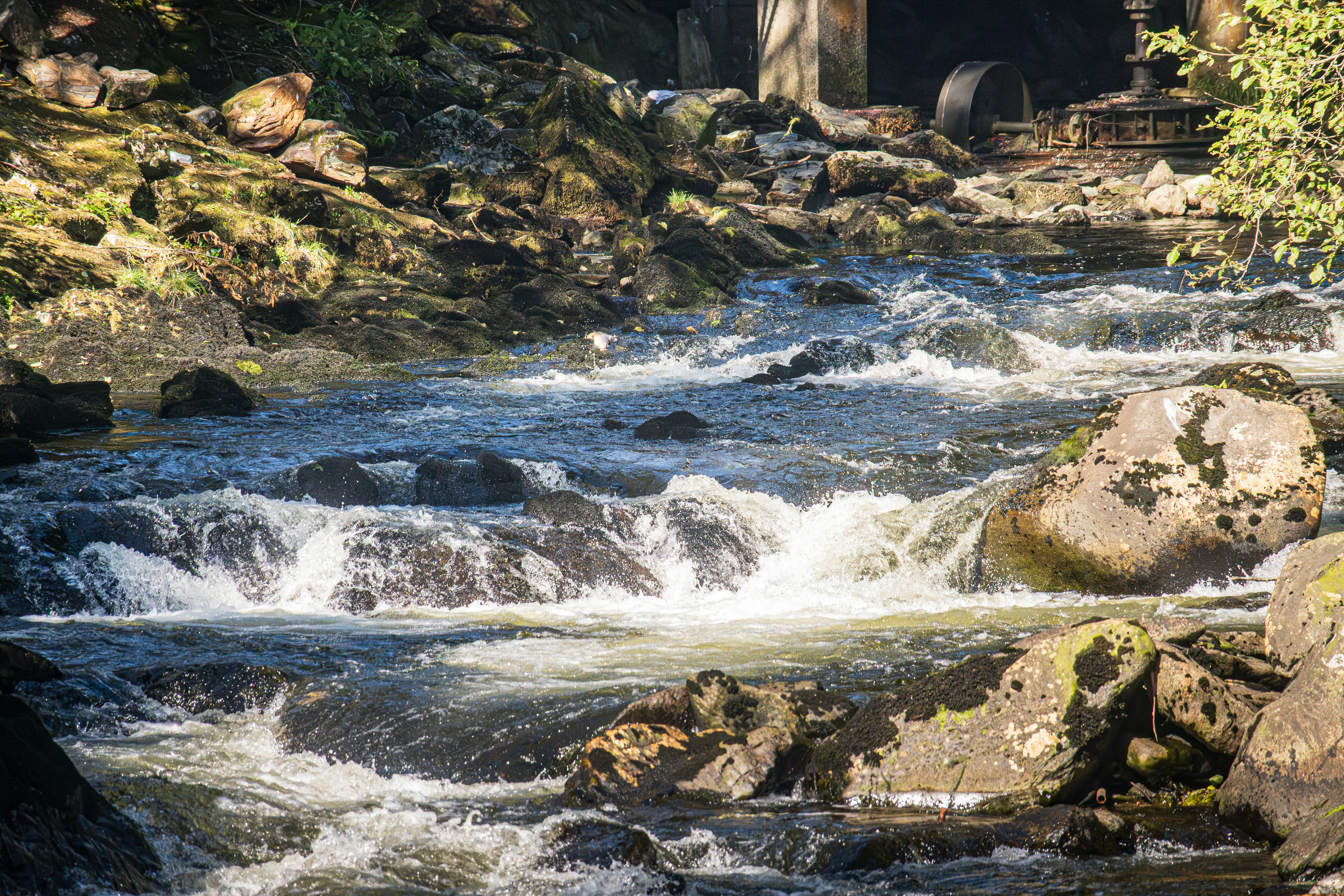 Sunlit Cascade over Mossy Stones in a Quiet Forest