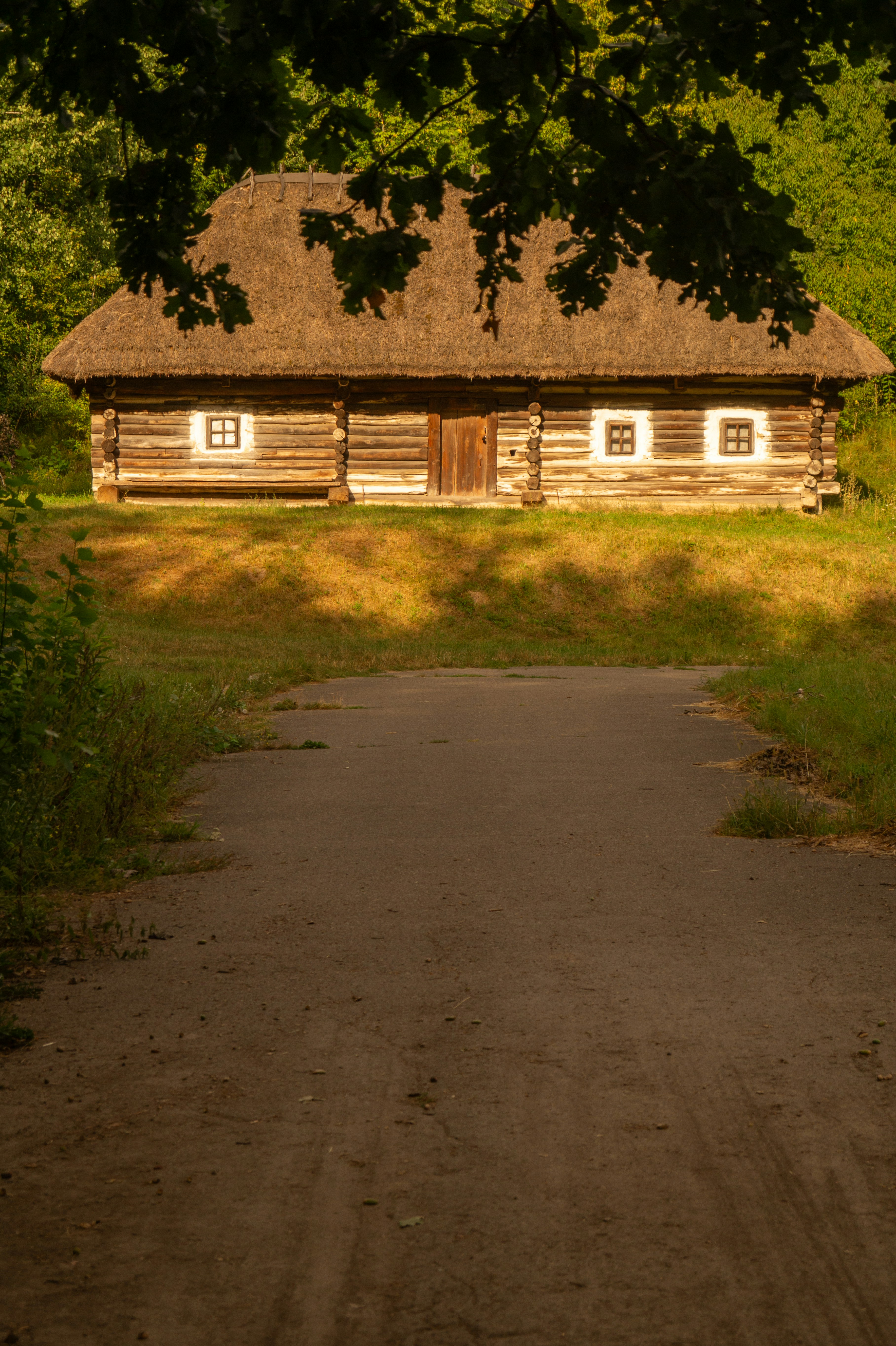 Sunlit Log Cabin at the End of the Path