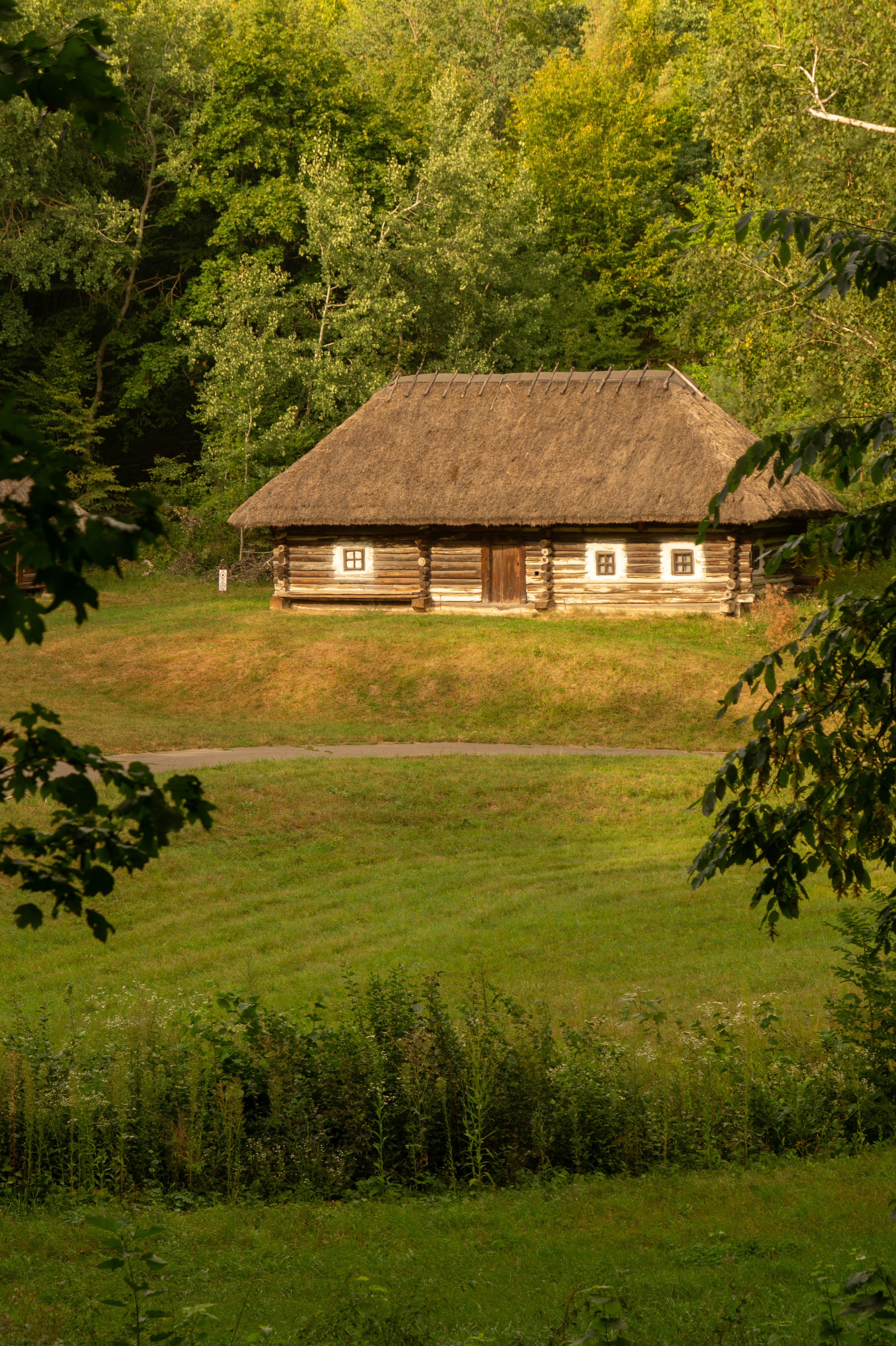 Thatched Cottage Amid Green Walls
