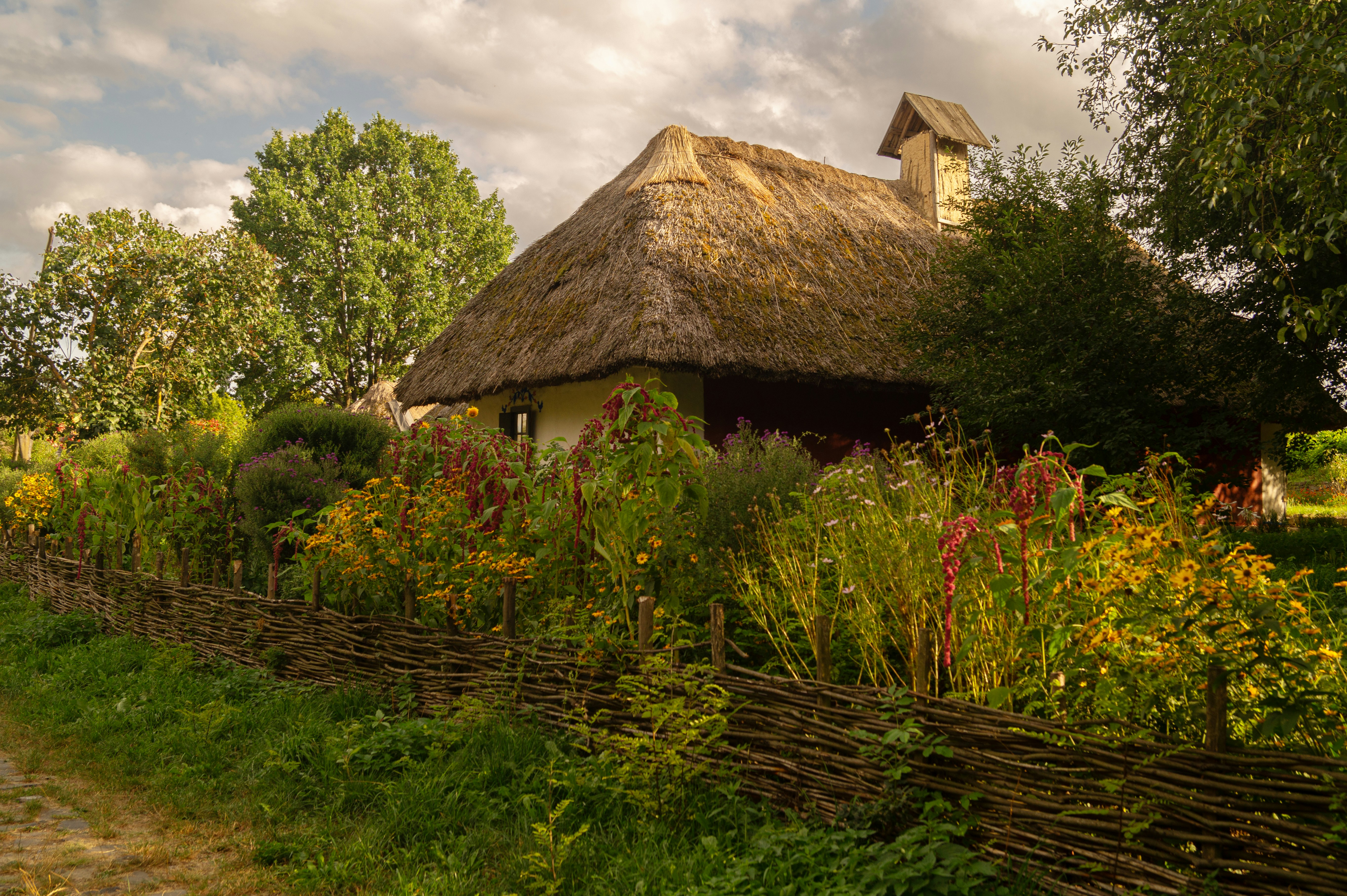 Thatched Cottage Garden in Golden Hour