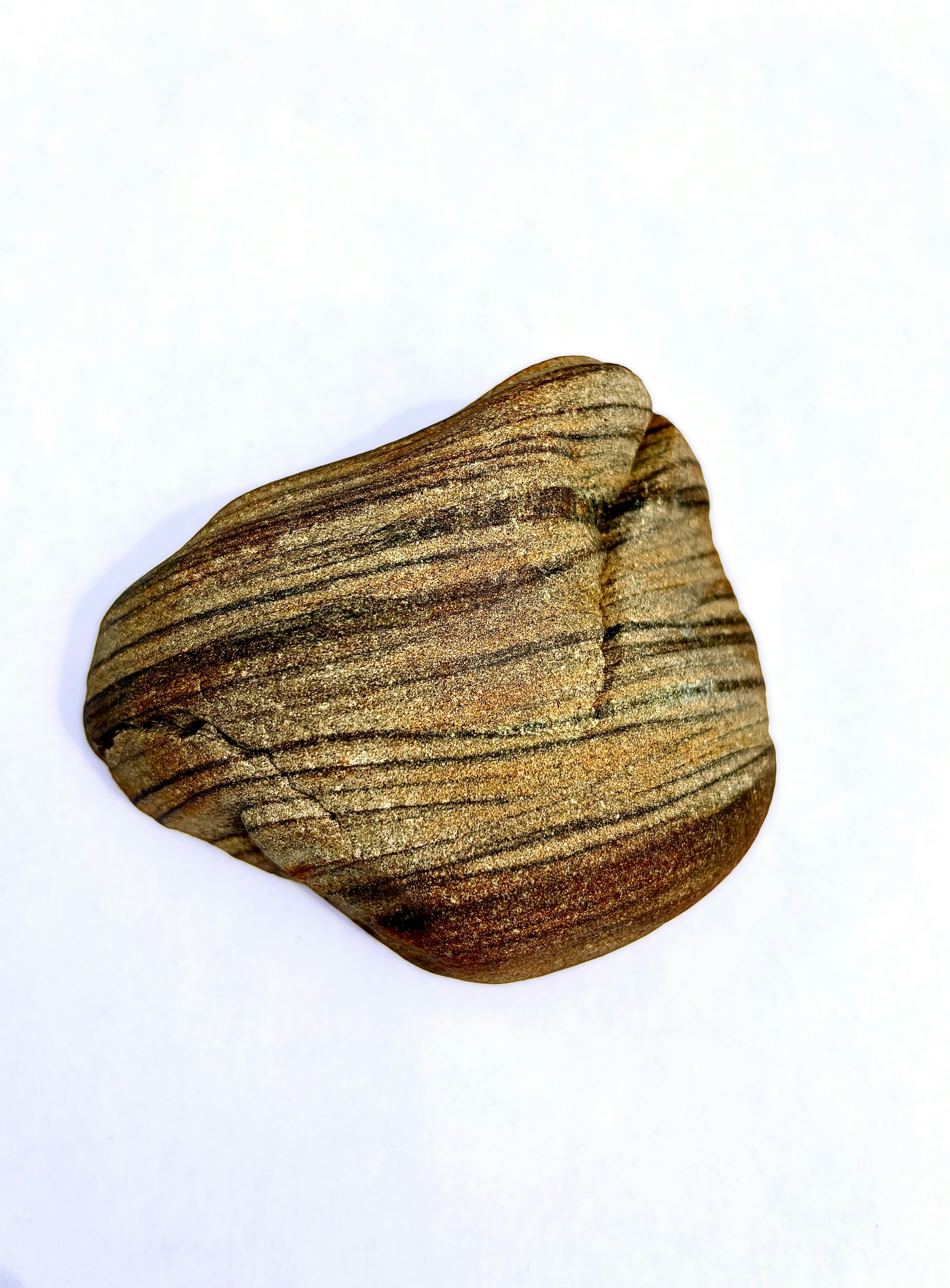 A smooth, layered rock rests on a clean white surface, its natural striations and earthy tones emphasized by soft lighting.