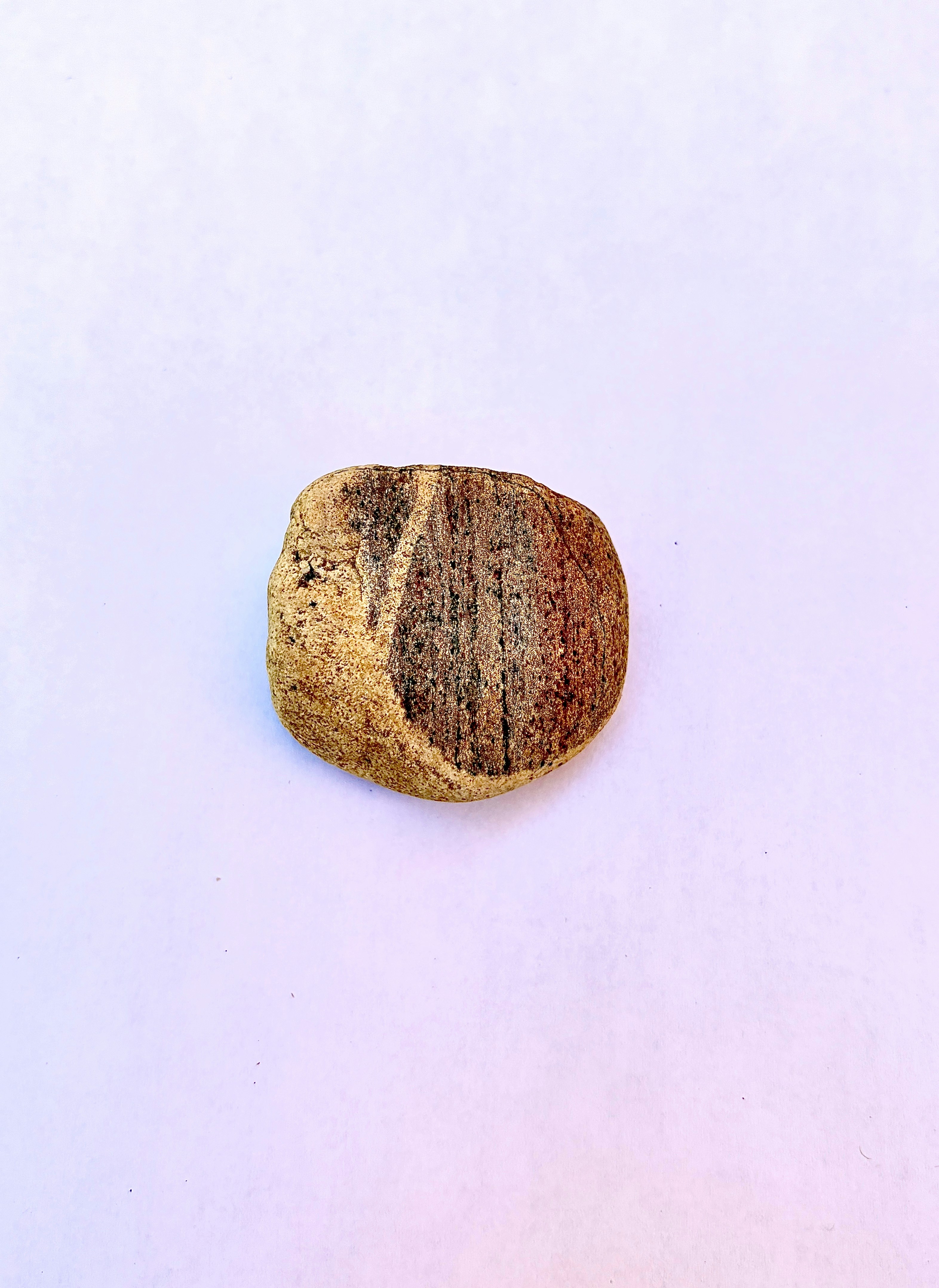 Single Pebble with Striated Bark-Like Pattern on Light Surface