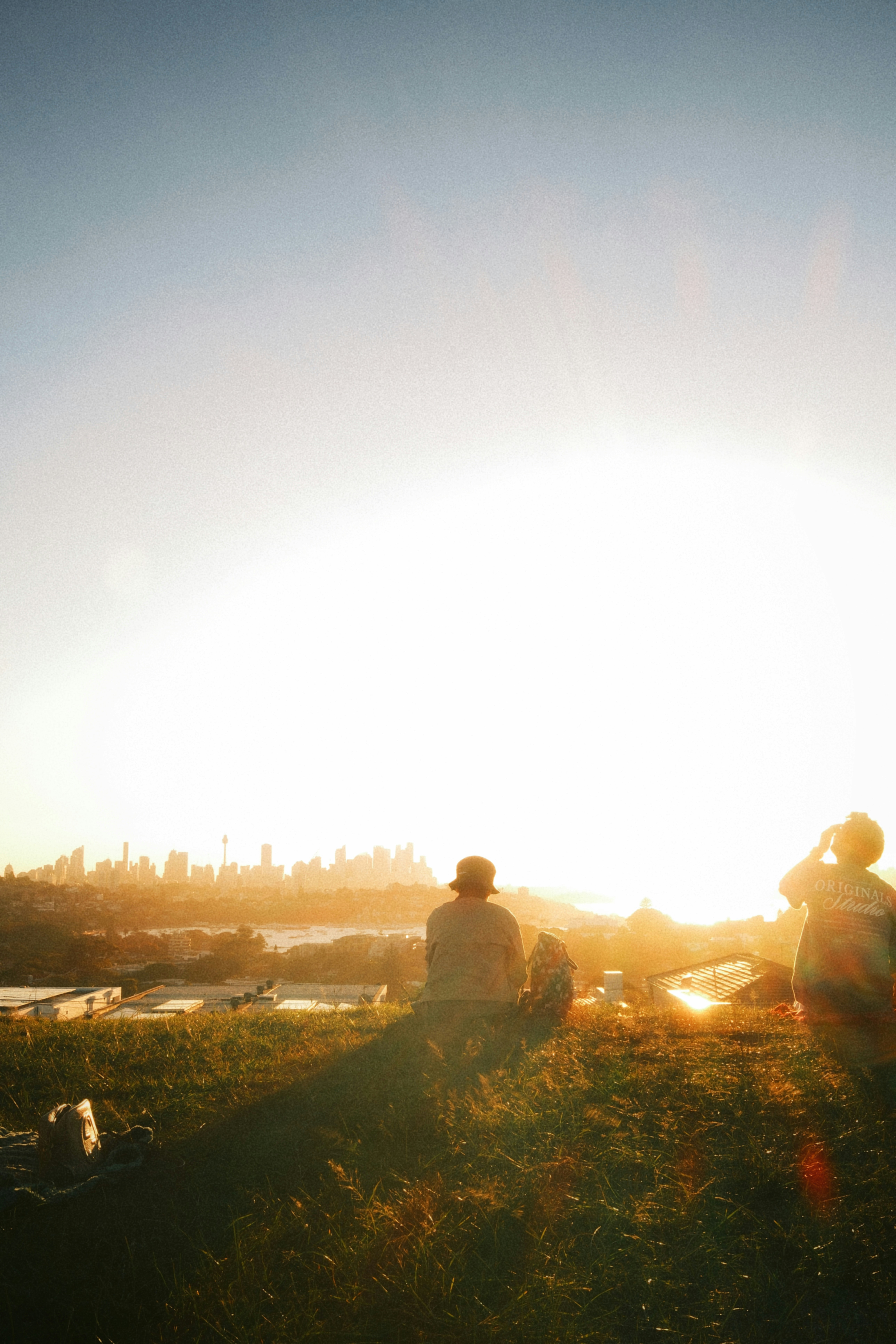 Sunlit Gathering at the Horizon