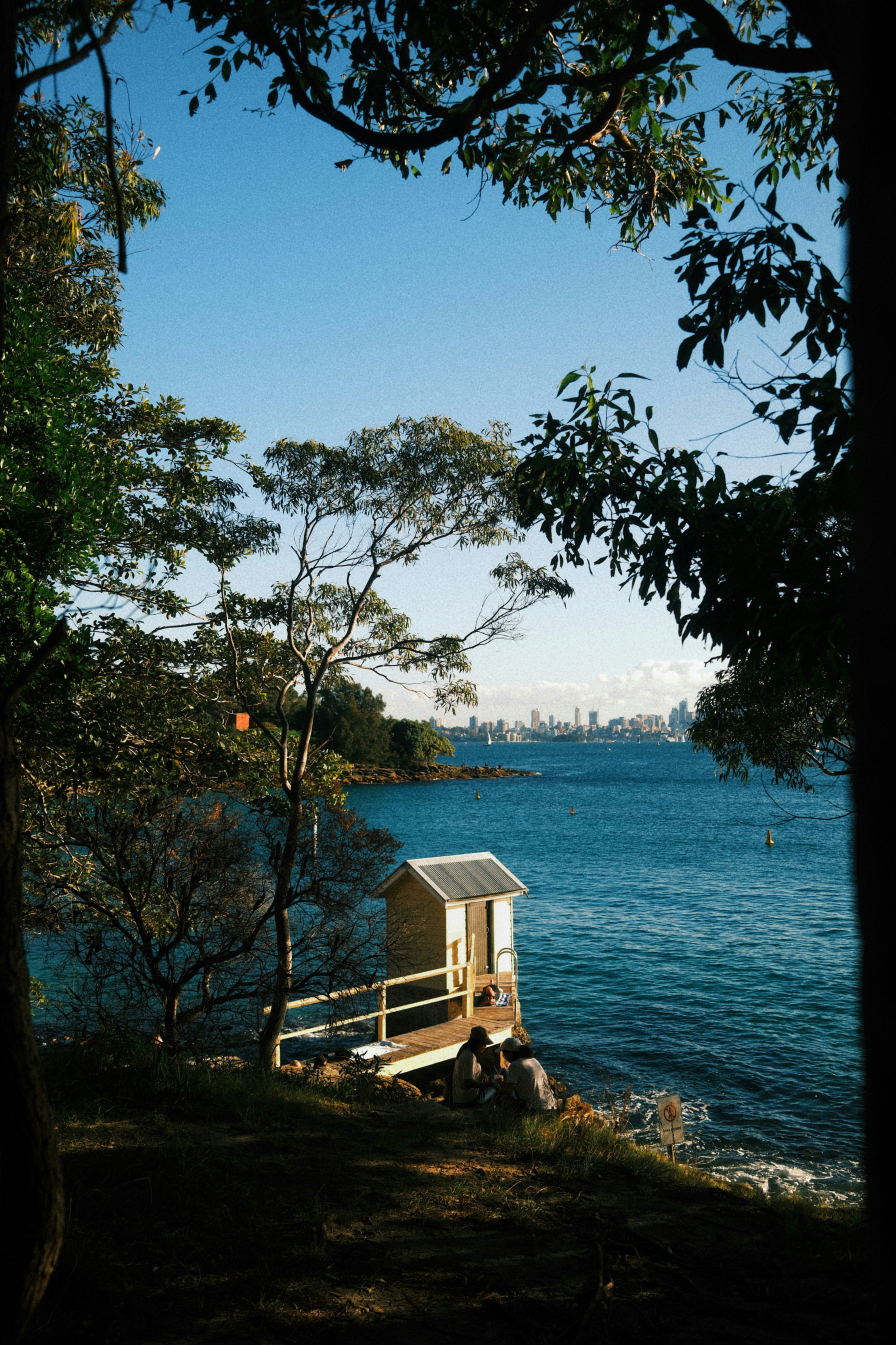 Shoreline Shelter: Light, Shadow, and Cityscape Framing