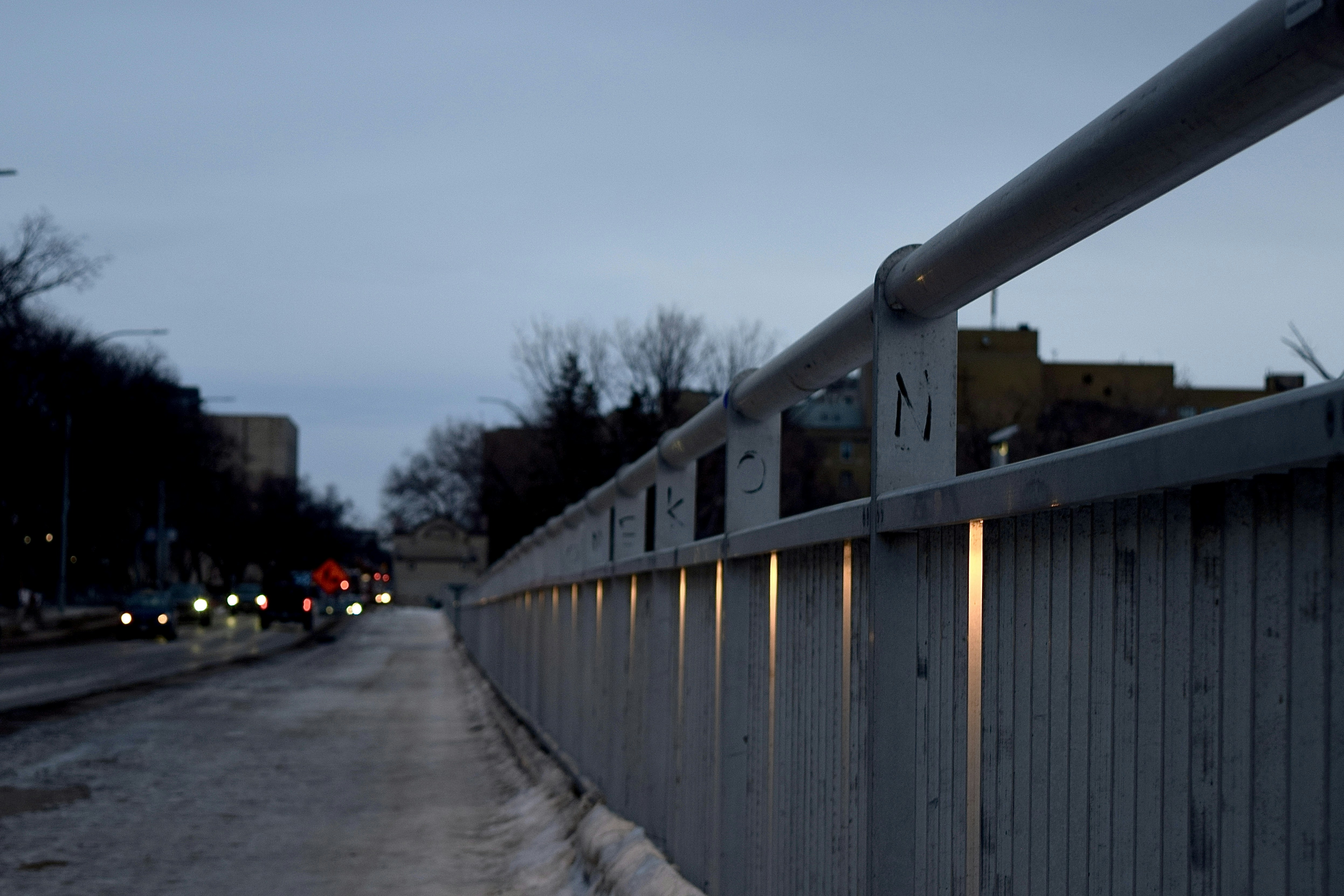 Rail Guard in Evening Blues