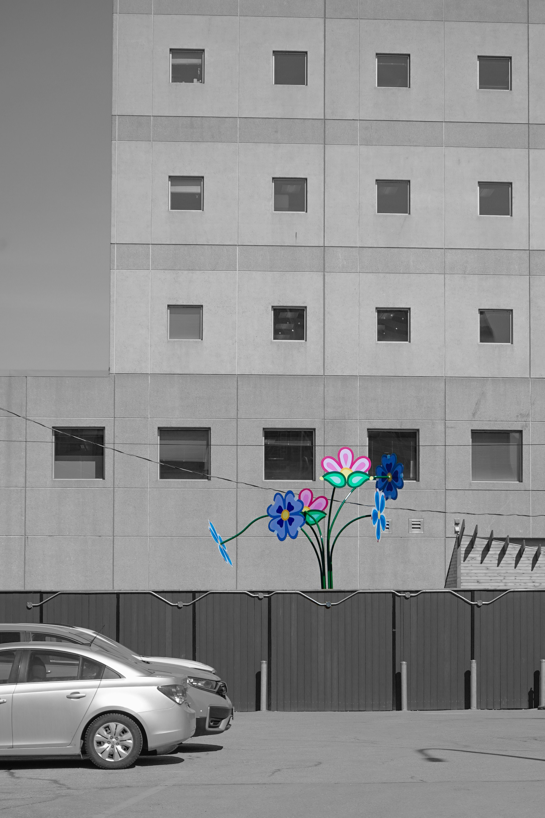 Urban mural of blue flowers blooming on a gray facade