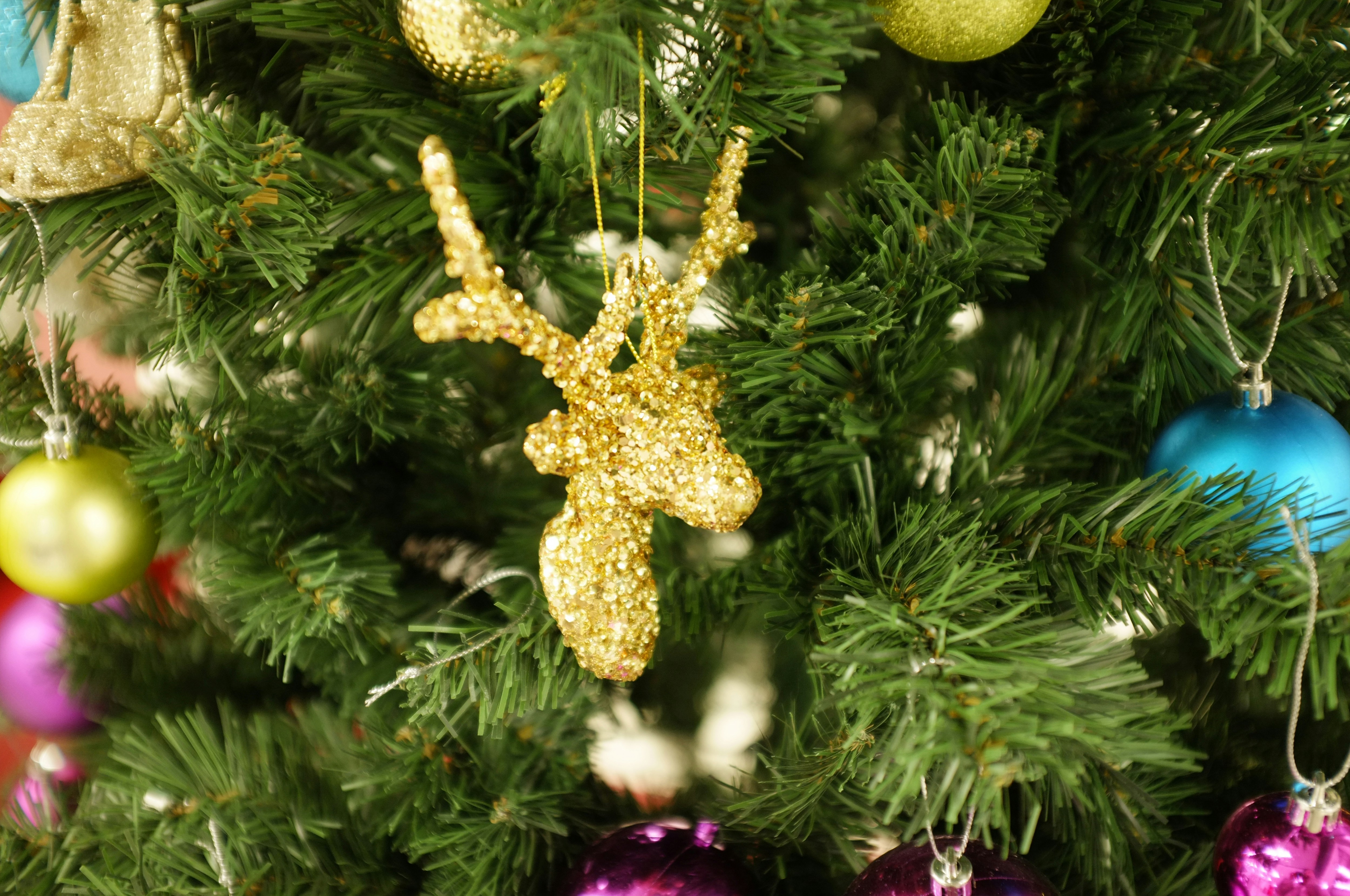 Golden Reindeer Sparkle Hanging Between Christmas Greens