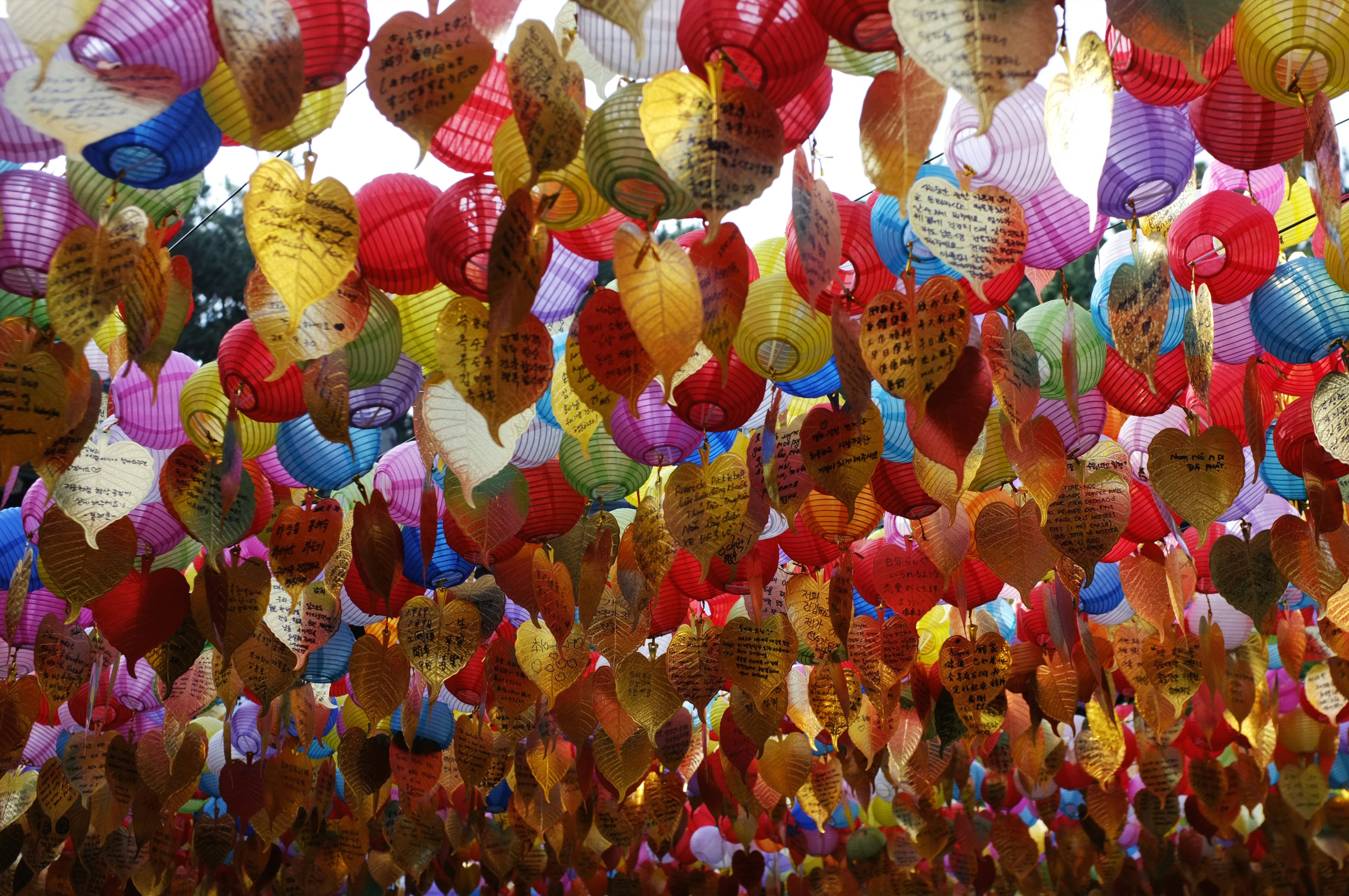 Floating Hearts of Hope: Lanterns of Color and Message