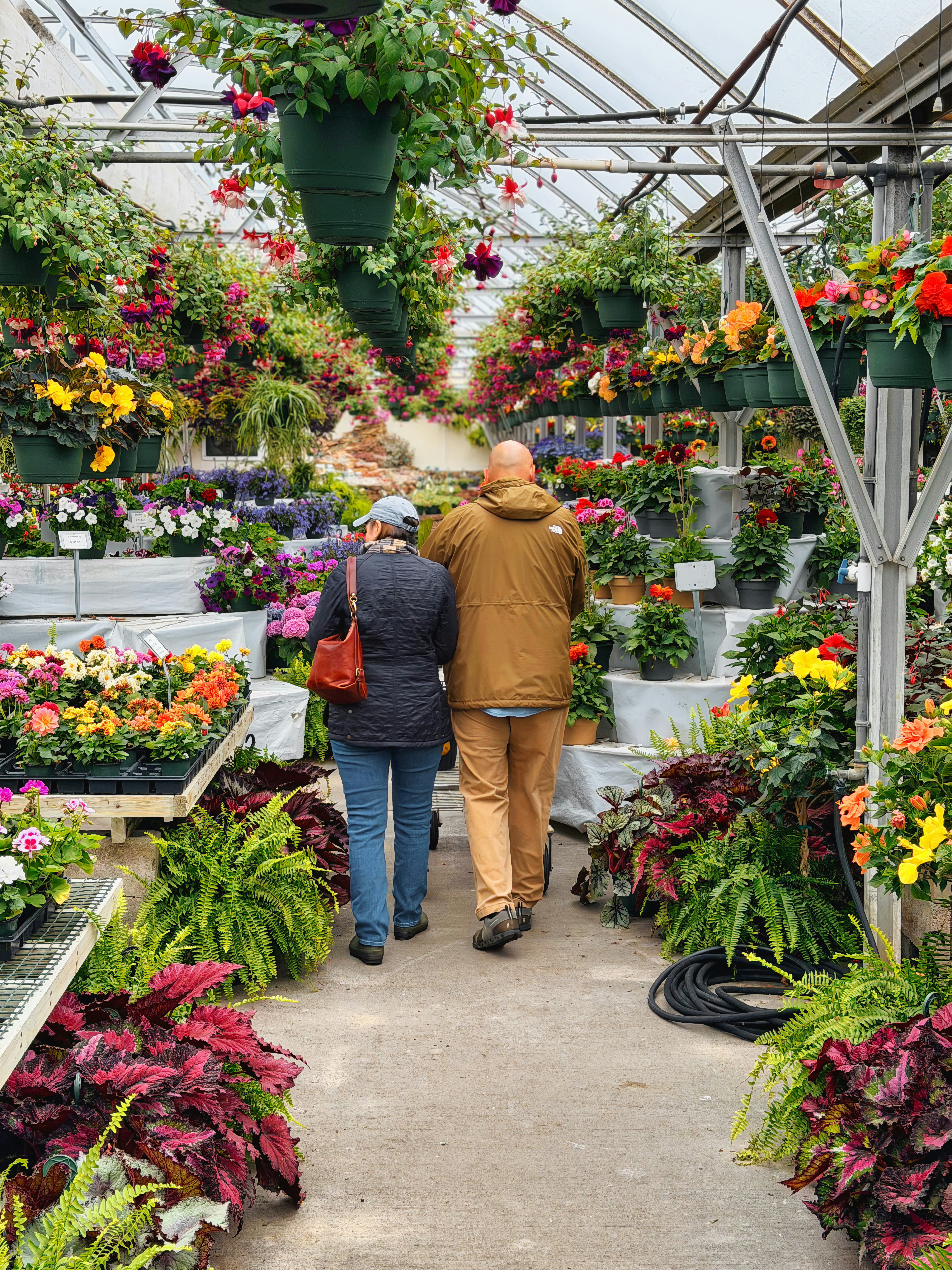 Two people walk through a vibrant greenhouse filled with flowers.